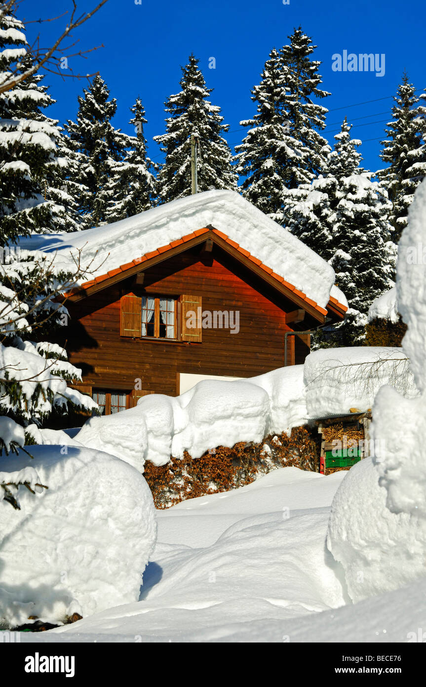 Snow-covered block house on the edge of a forest, Jura, Switzerland ...