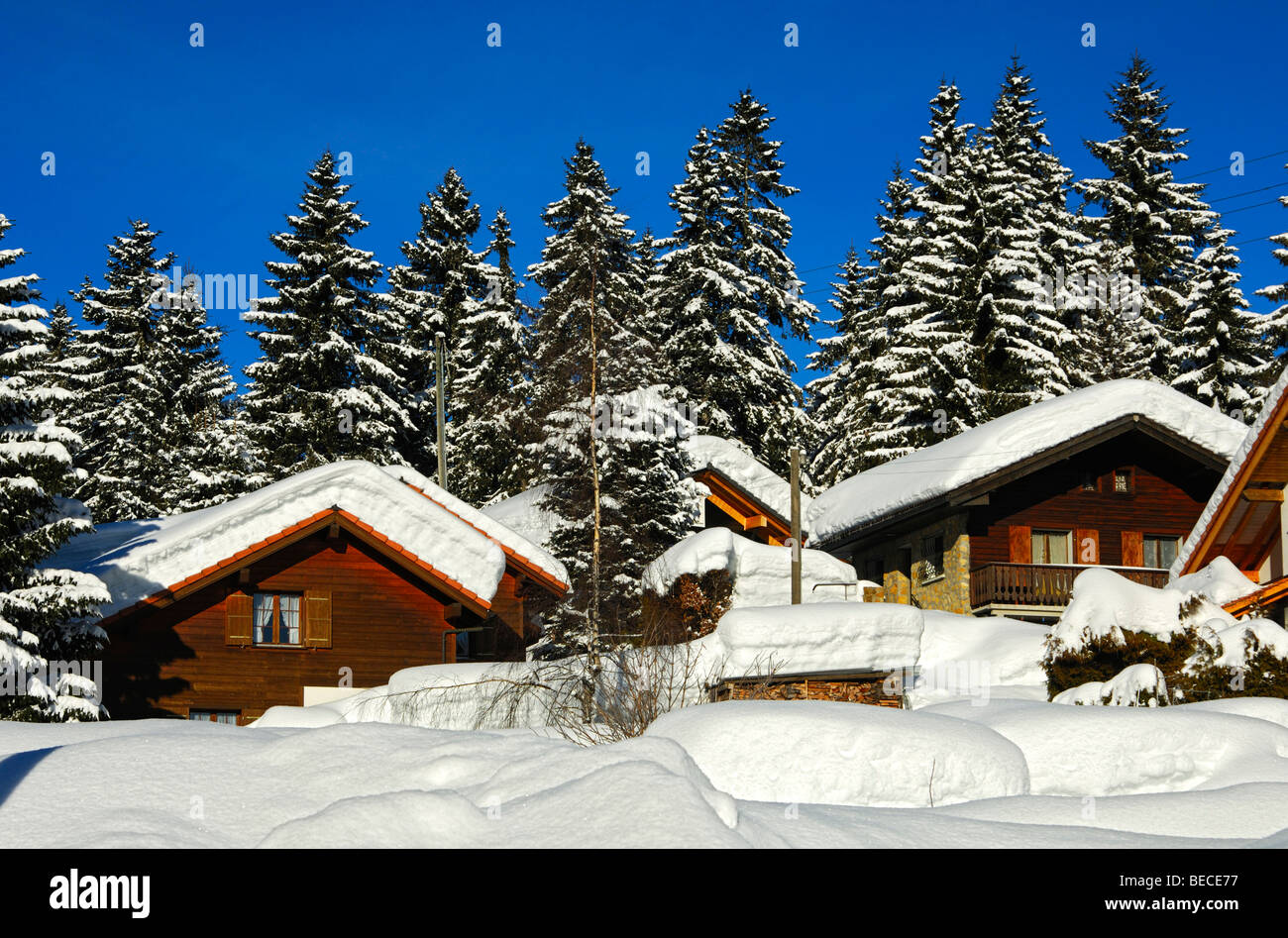 Houses on a block hi-res stock photography and images - Alamy