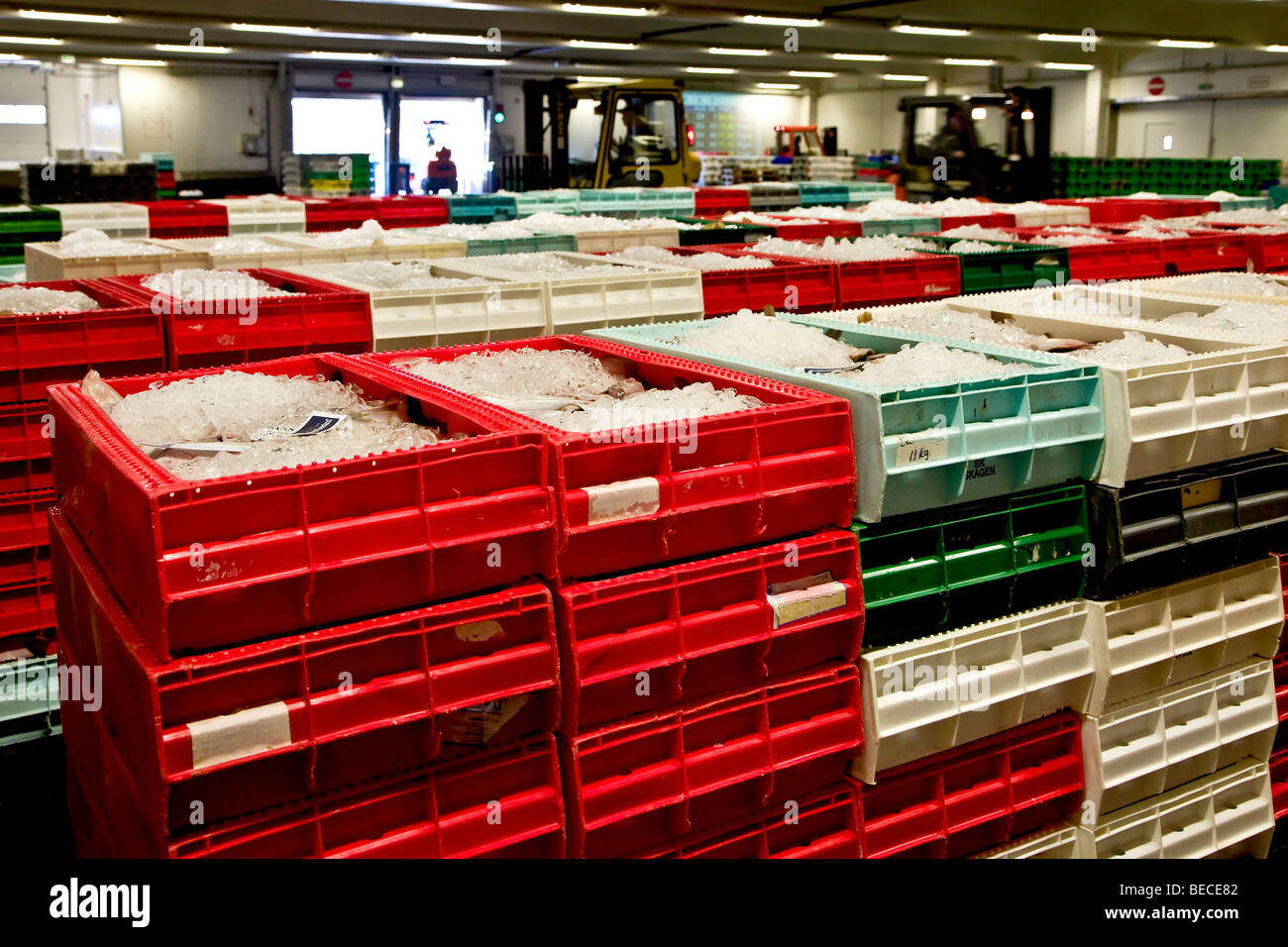 The Fish auction room in Hanstholm, Denmark Stock Photo - Alamy