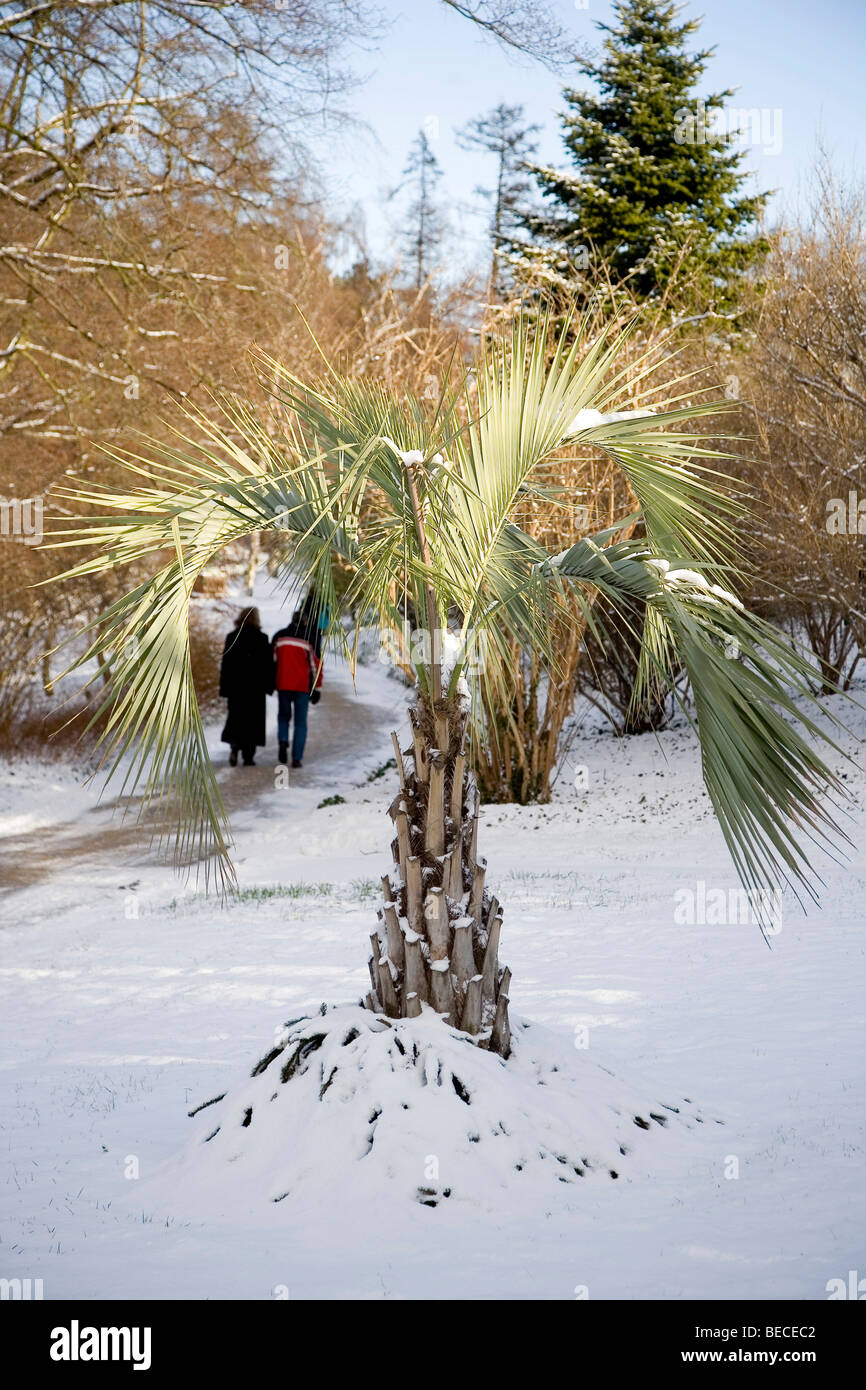 Verschneiter garten hi-res stock photography and images - Alamy
