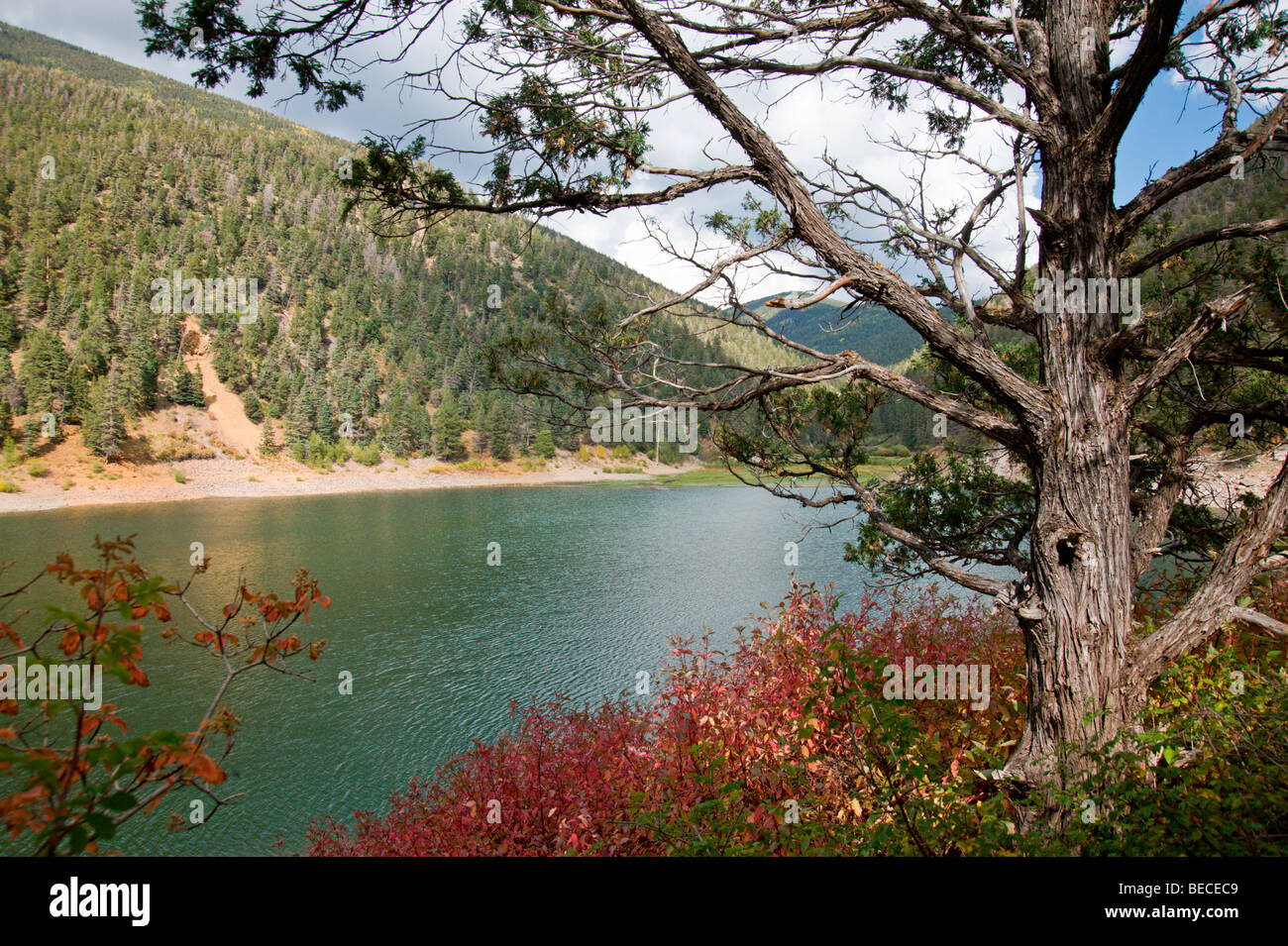 Red river new mexico hi-res stock photography and images - Alamy
