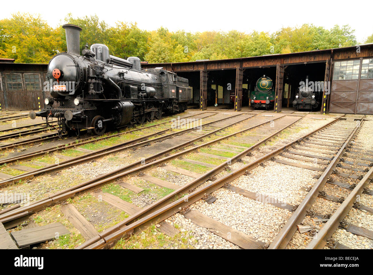 Steam Locomotive coal tank engine railway Stock Photo - Alamy