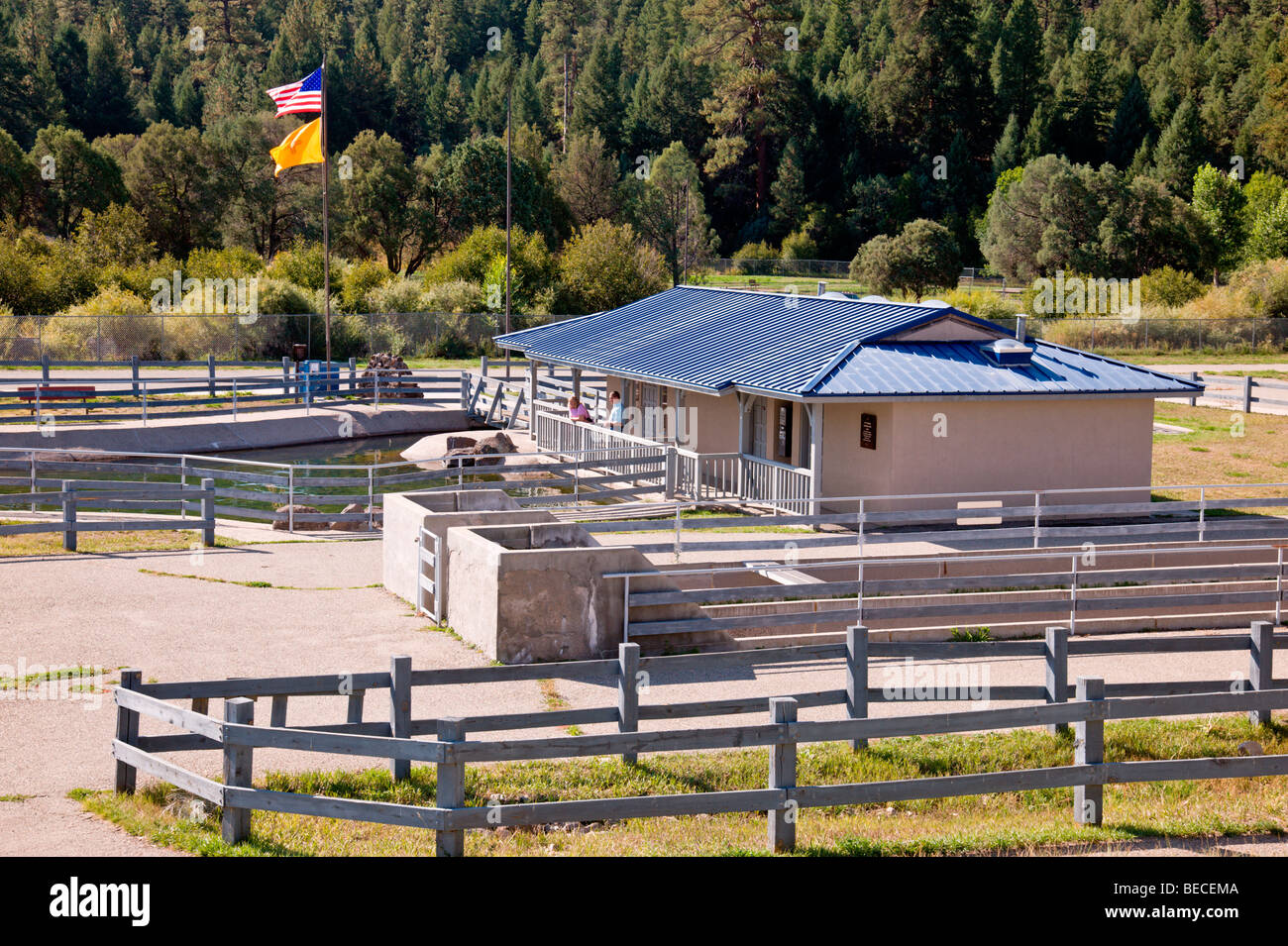 United states fish hatchery hi-res stock photography and images - Alamy