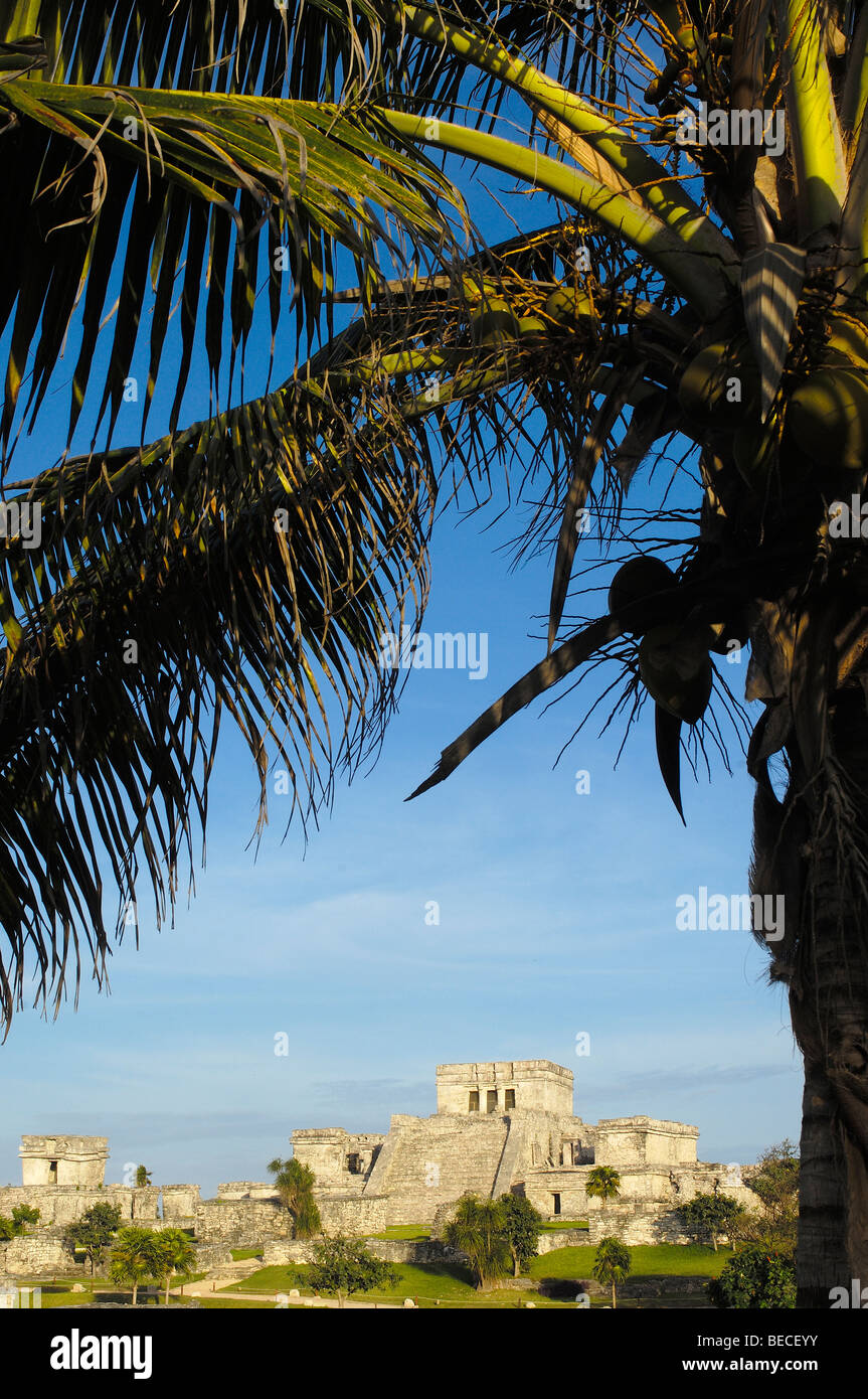 The castle (El Castillo). Mayan ruins of Tulum (1200-1524). Tulum ...