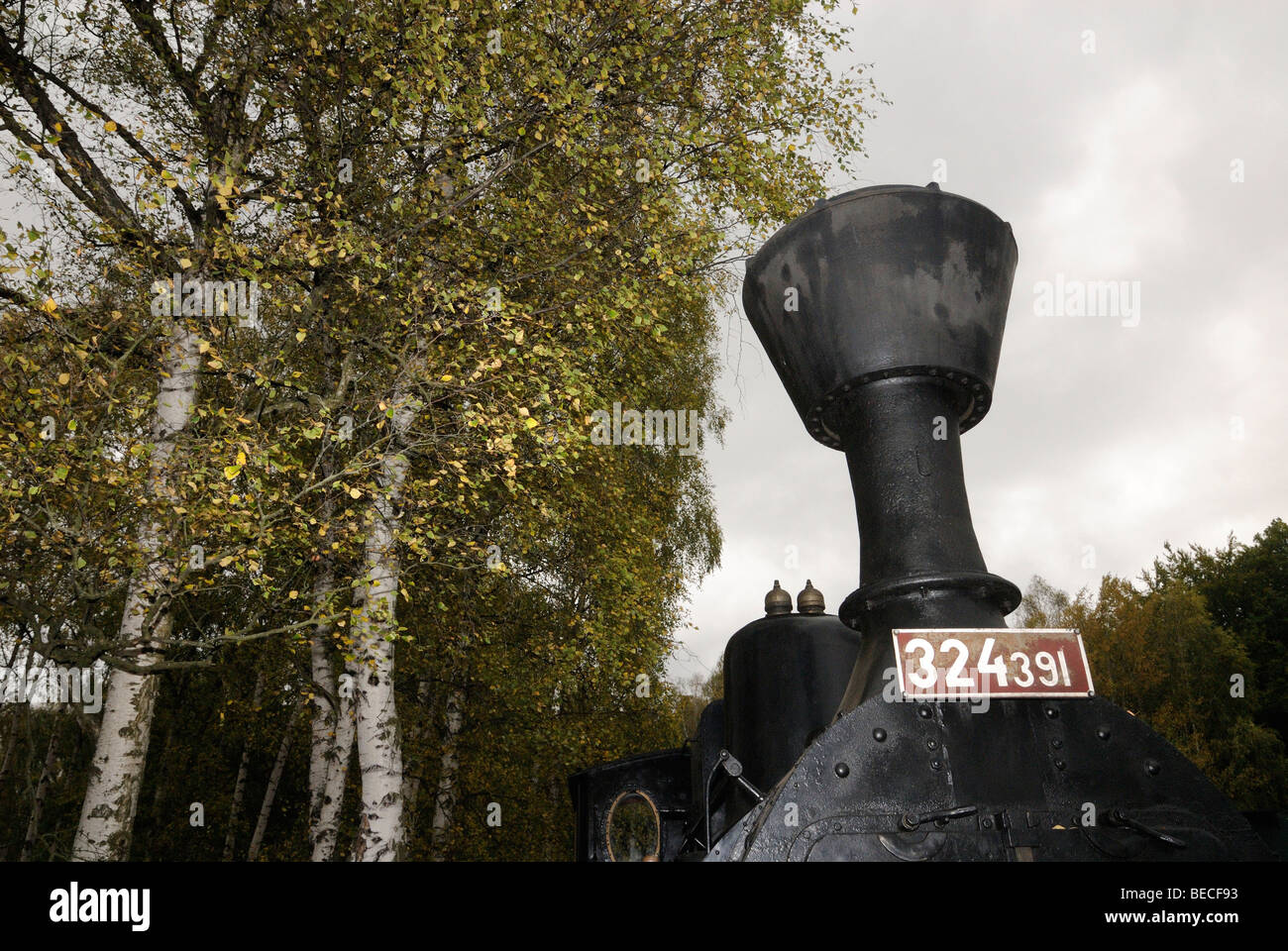 Steam Locomotive coal tank engine railway Stock Photo - Alamy