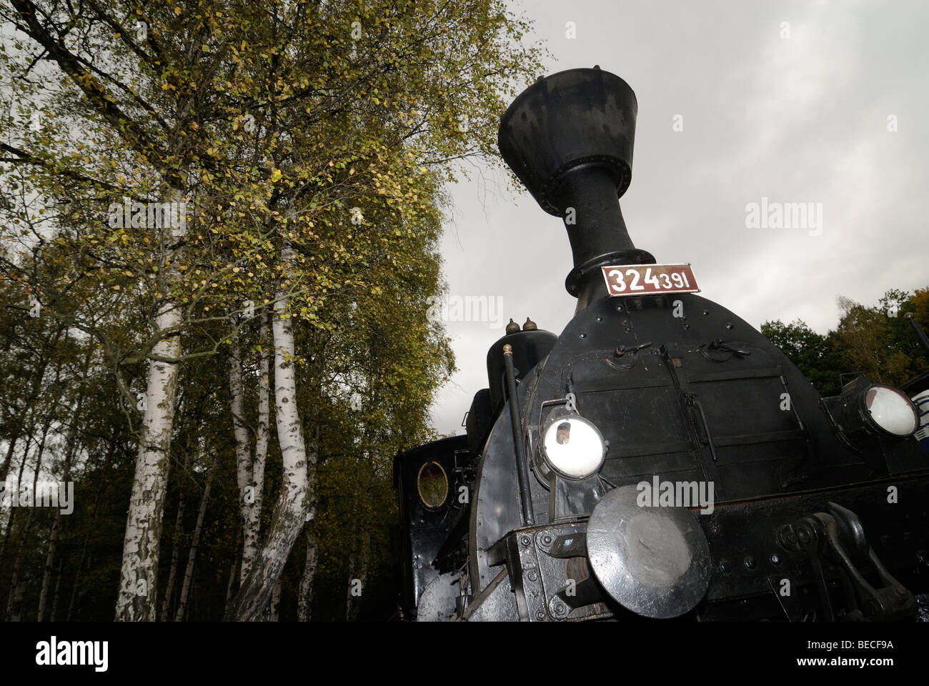 Steam Locomotive coal tank engine railway Stock Photo - Alamy