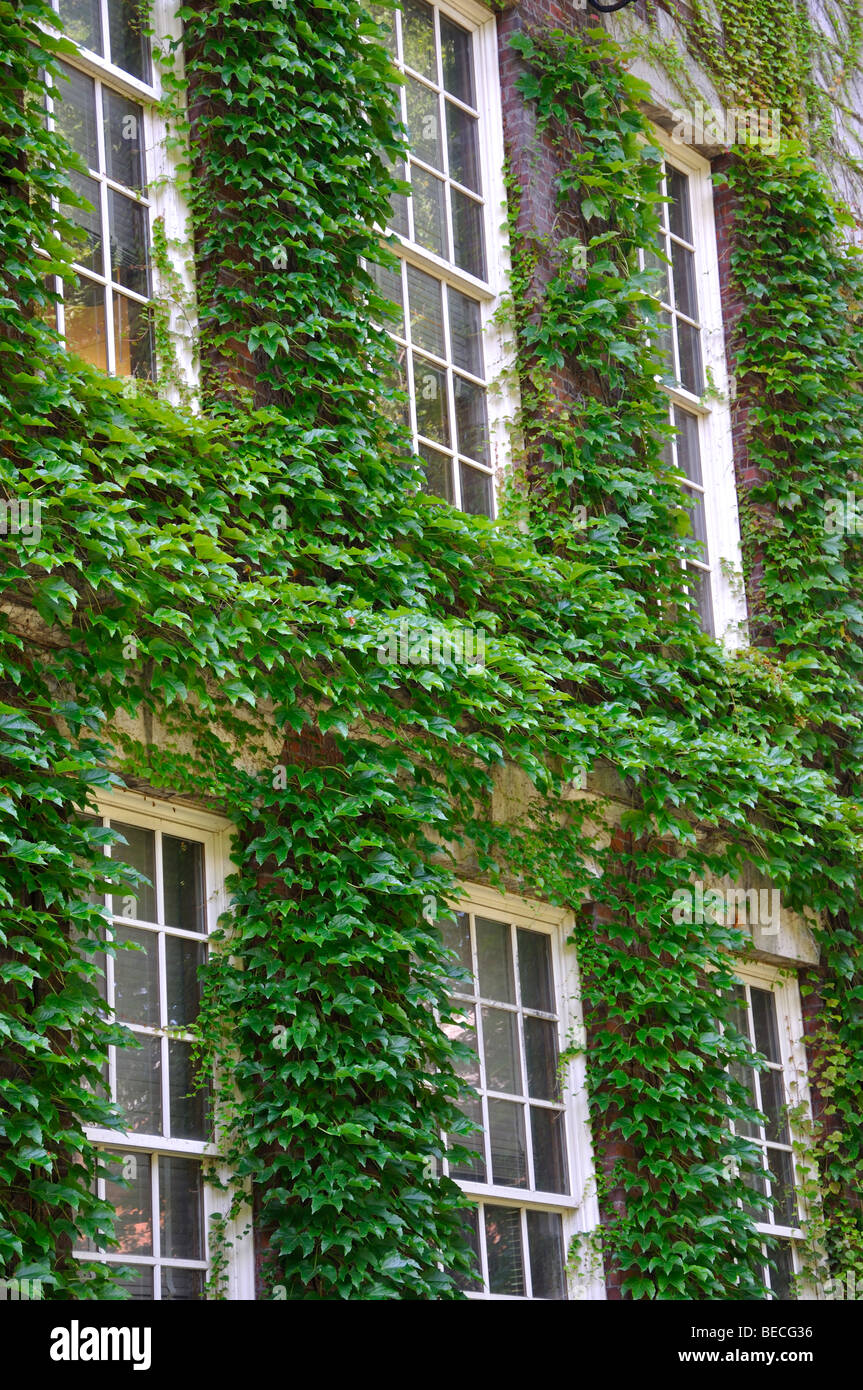 Ivy smith hi-res stock photography and images - Alamy