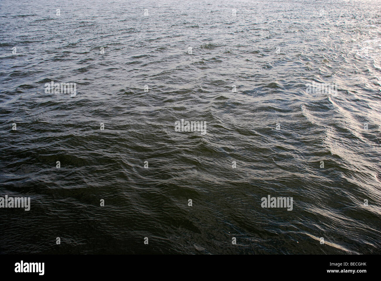 Ripples on the surface of the vast open green sea Stock Photo - Alamy