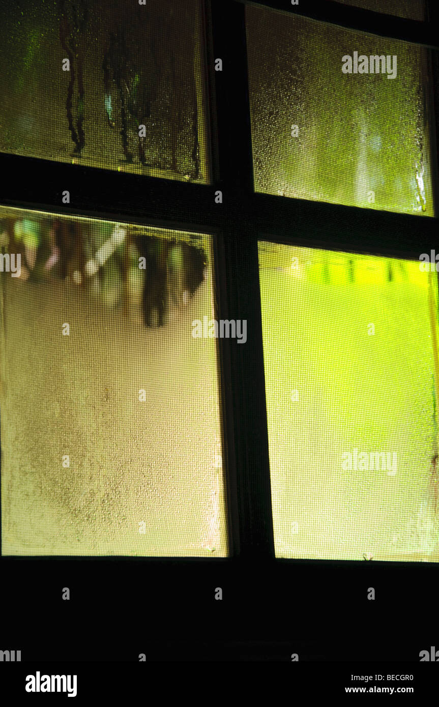 Condensation on glass window Stock Photo - Alamy