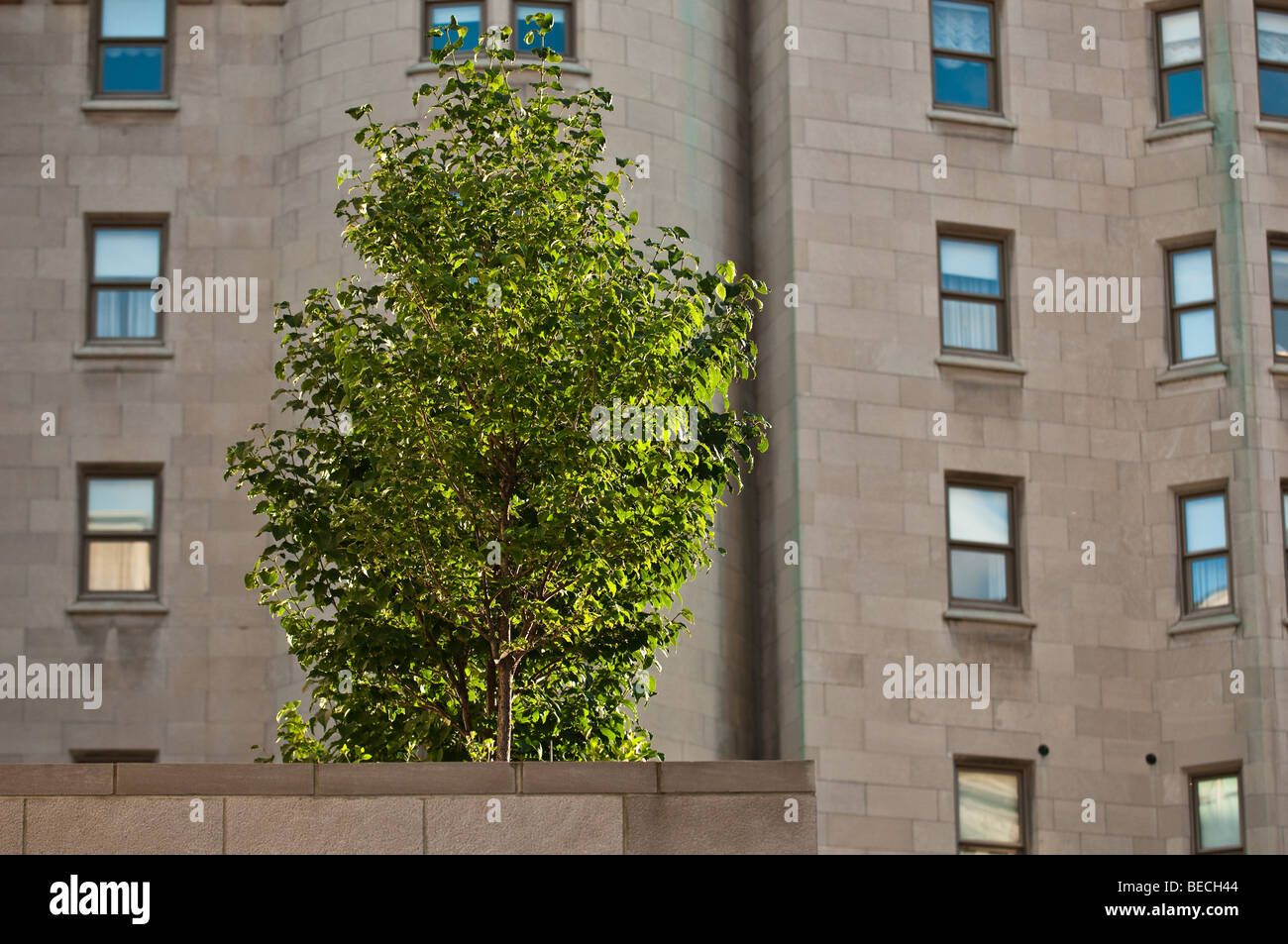 Man made buildings hi-res stock photography and images - Alamy