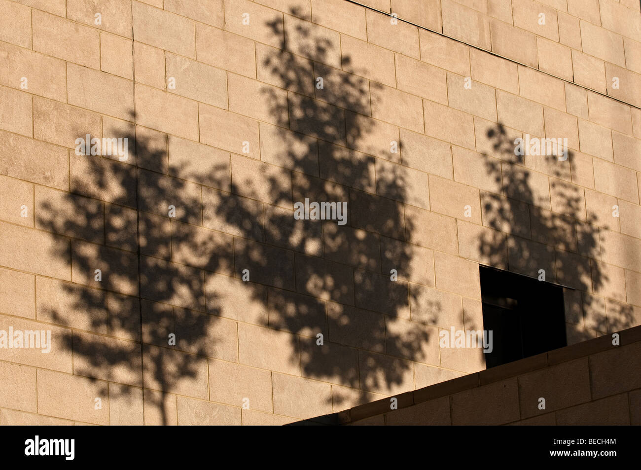 Several tree shadows cast on stone wall Stock Photo - Alamy