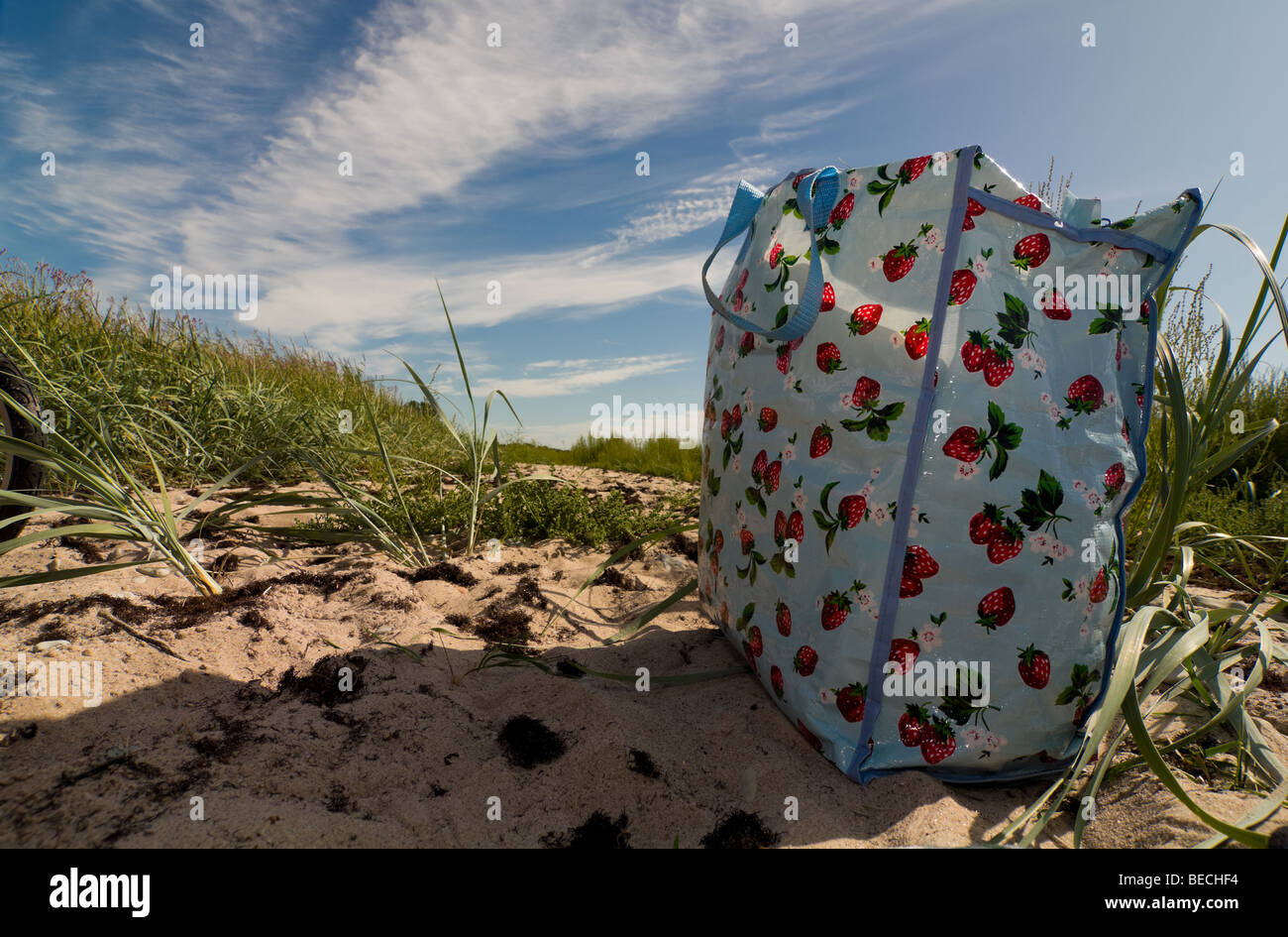 summerday at the beach Stock Photo - Alamy