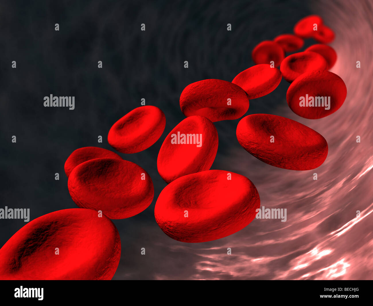 Red blood cells (3D illustration Stock Photo - Alamy