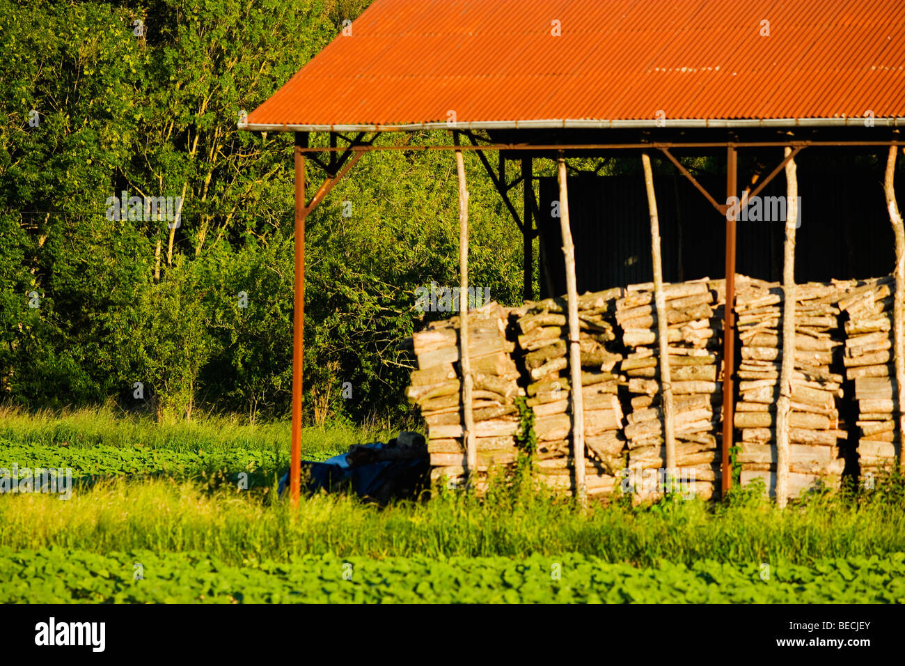 Wooden logs under a shed Stock Photo - Alamy