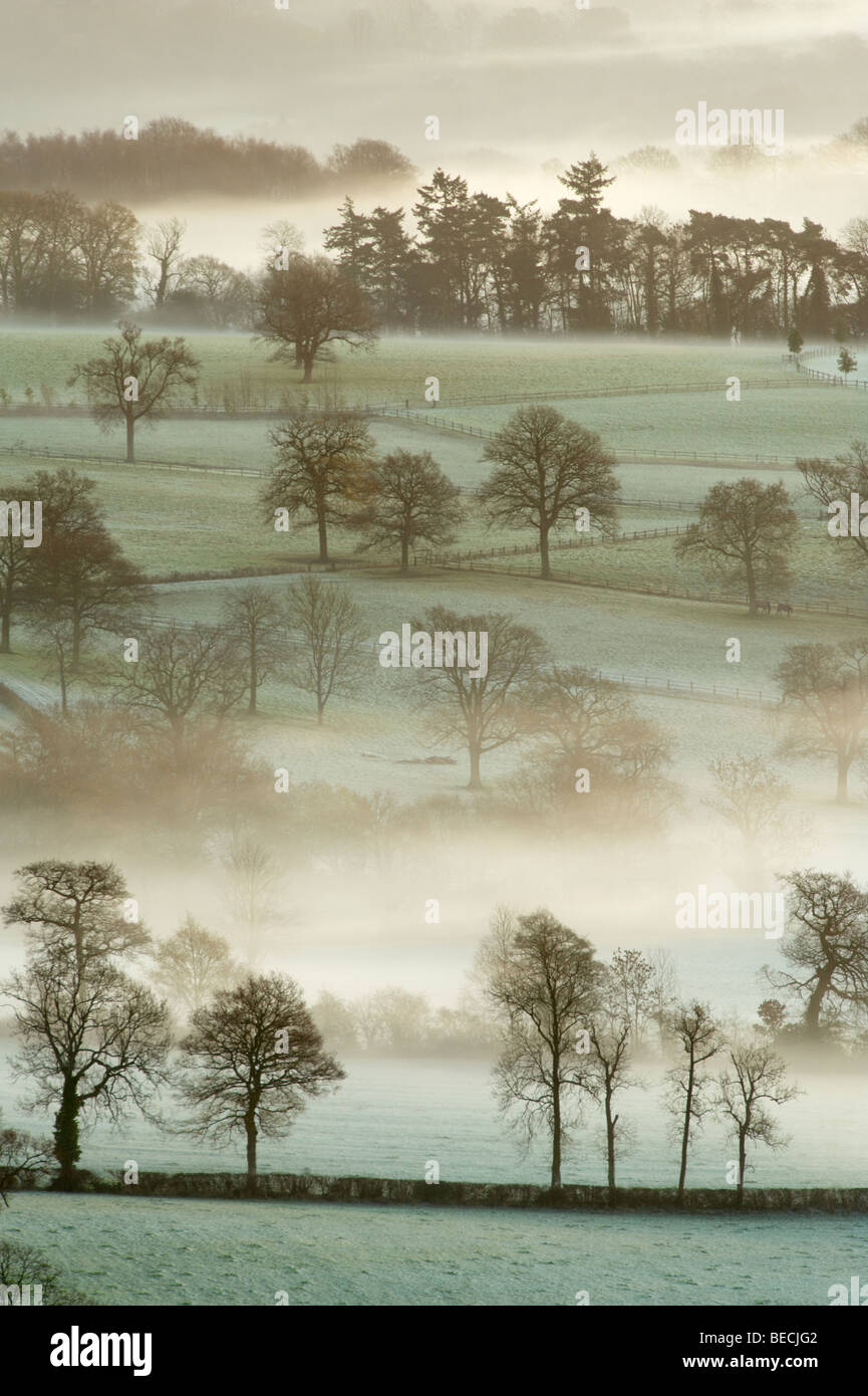 Surrey mist hi-res stock photography and images - Alamy