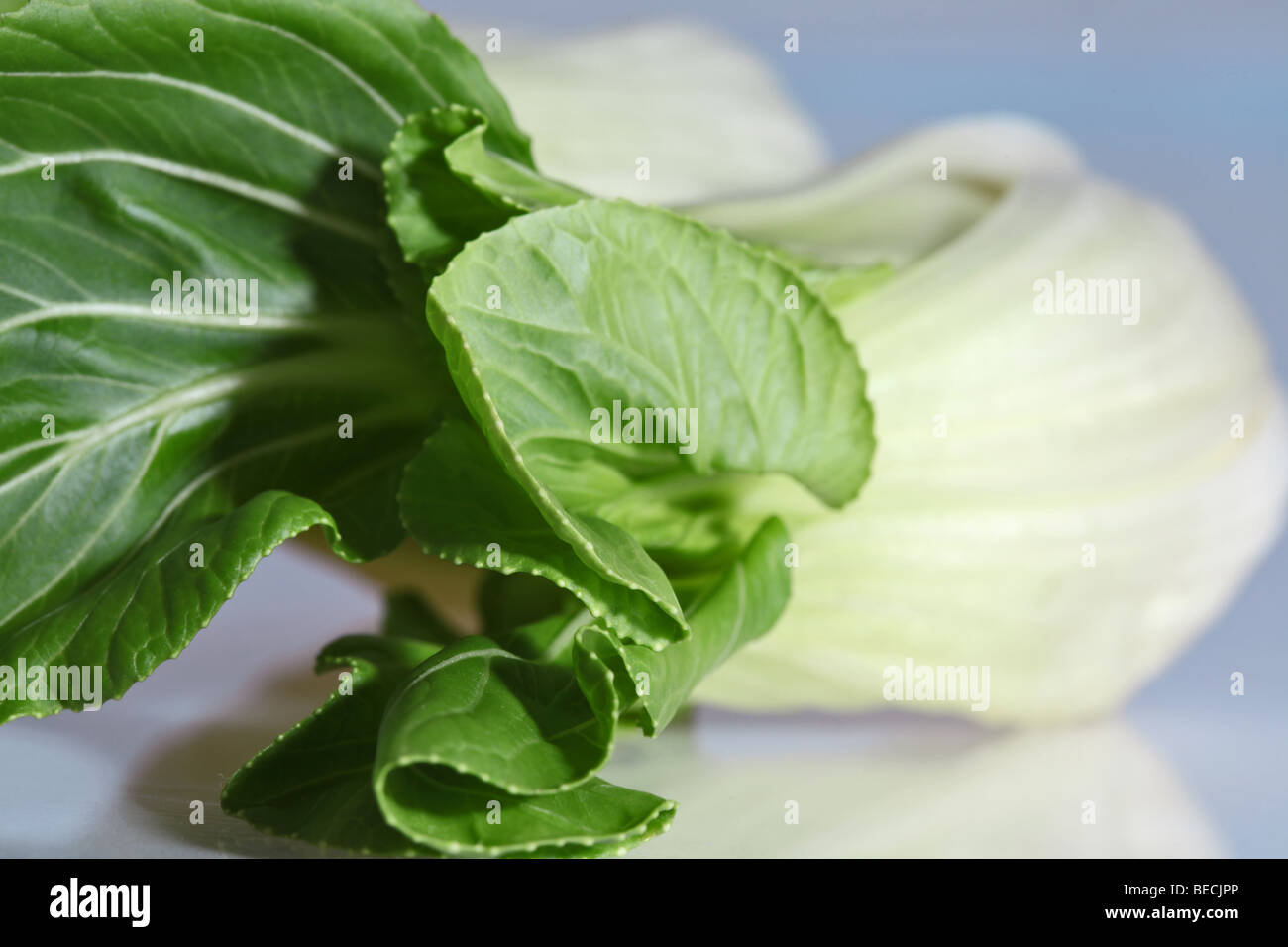 Boc hi-res stock photography and images - Alamy