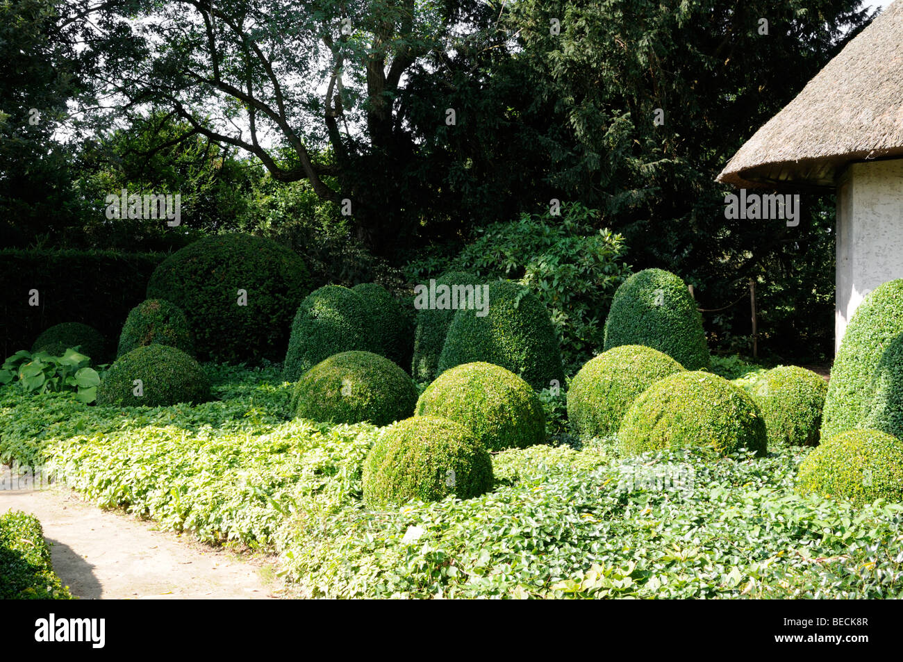 Topiary tree park hi-res stock photography and images - Alamy