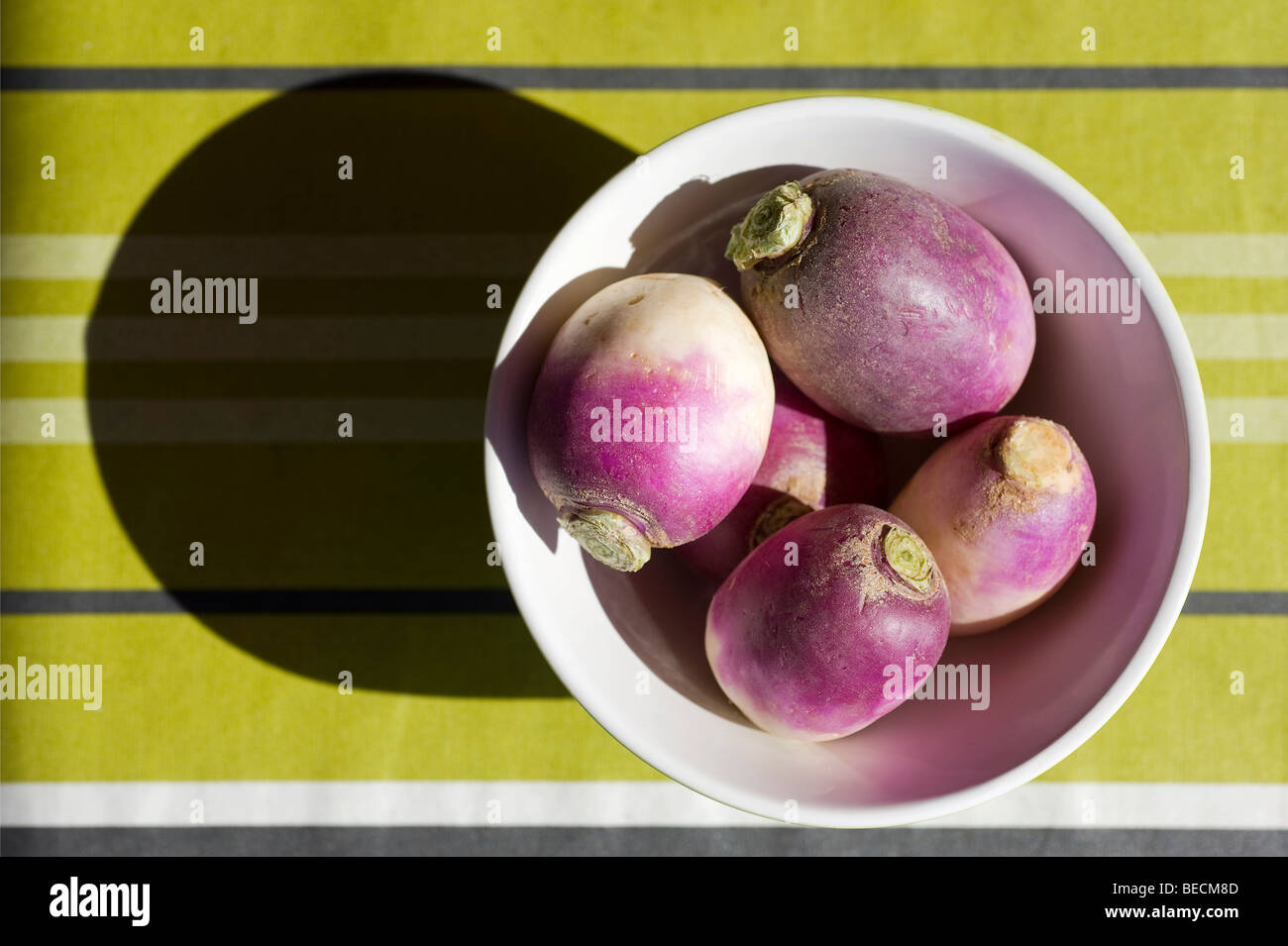 Products from brittany hi-res stock photography and images - Alamy