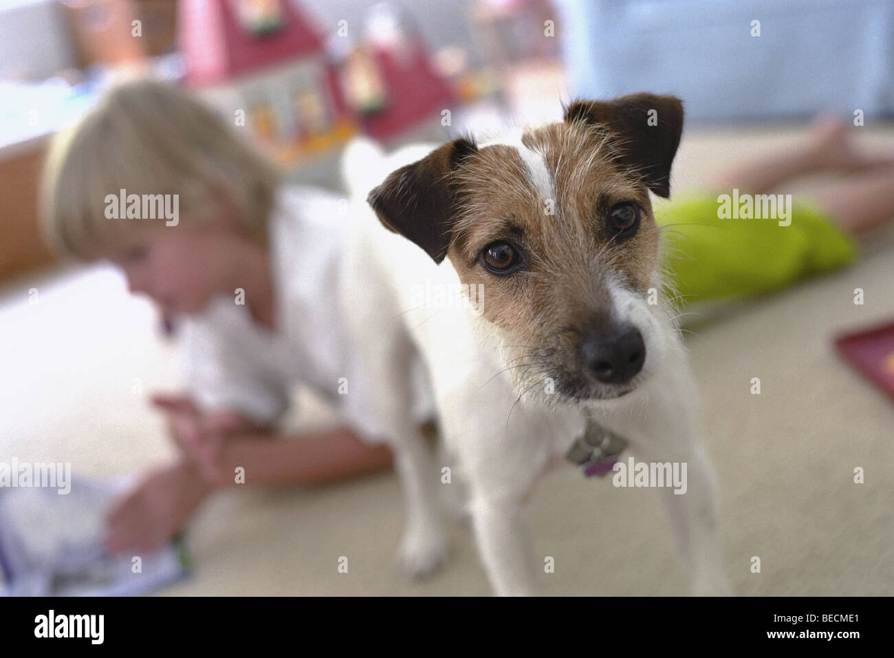 Her dog beside her on the floor hi-res stock photography and images - Alamy