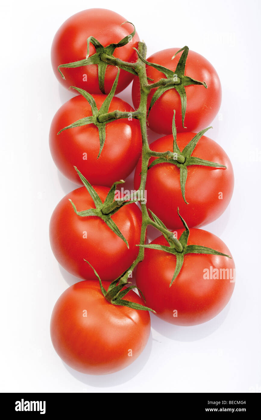 Truss Cut Out Stock Images & Pictures - Alamy