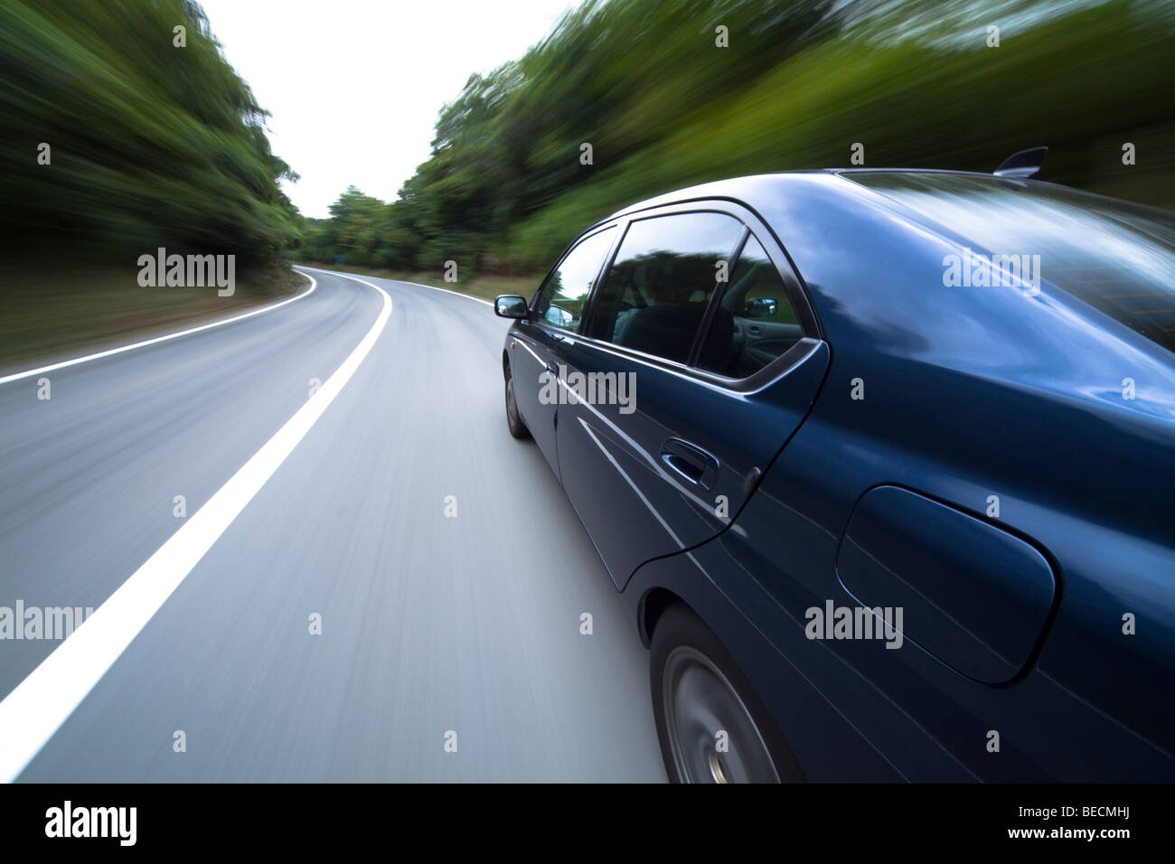 Tree alloy hi-res stock photography and images - Alamy