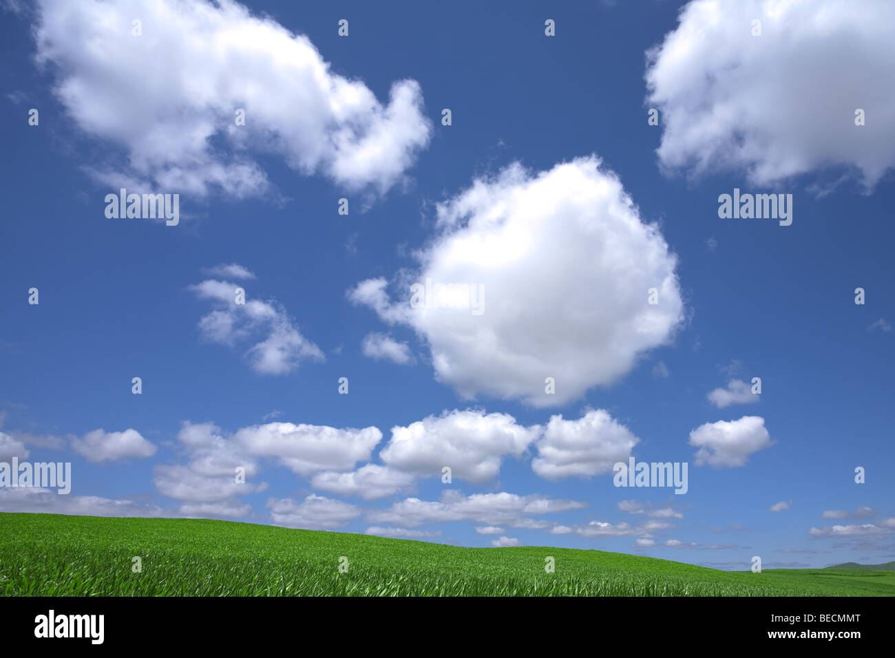 Green field and cloud Stock Photo - Alamy