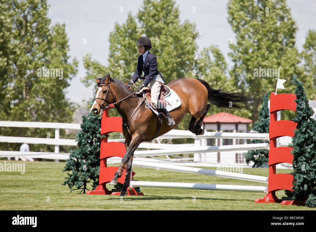 Spruce meadows show jumping hi-res stock photography and images - Alamy