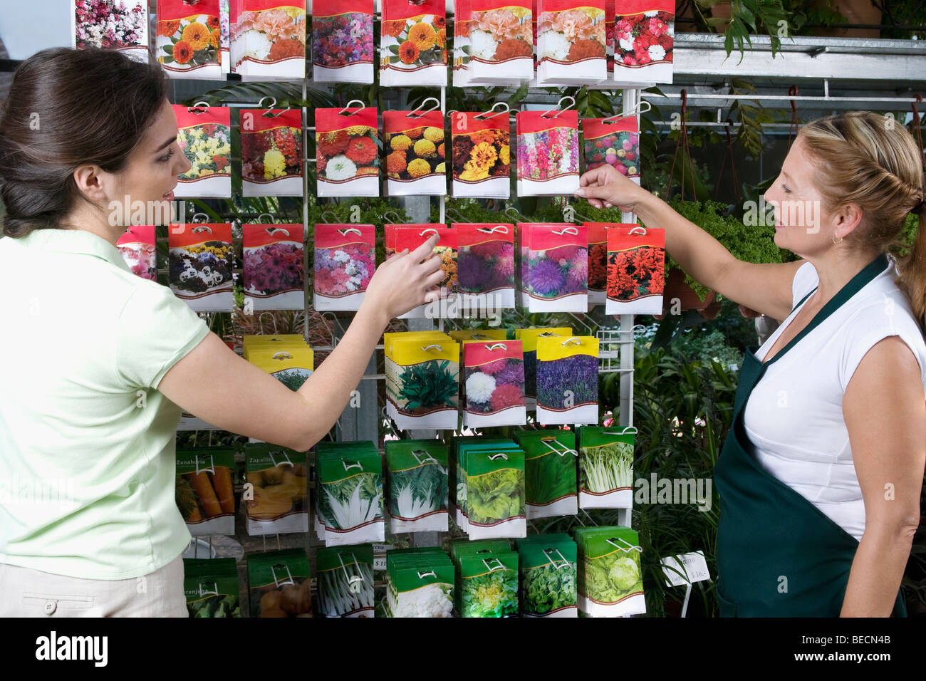 Customer buying seed packets Stock Photo - Alamy