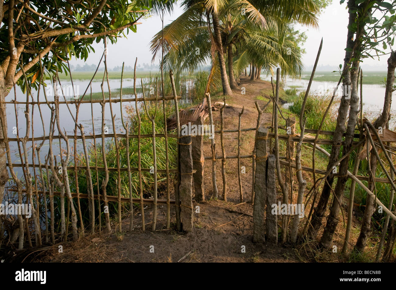 Kerala backwaters scenery view hi-res stock photography and images - Alamy