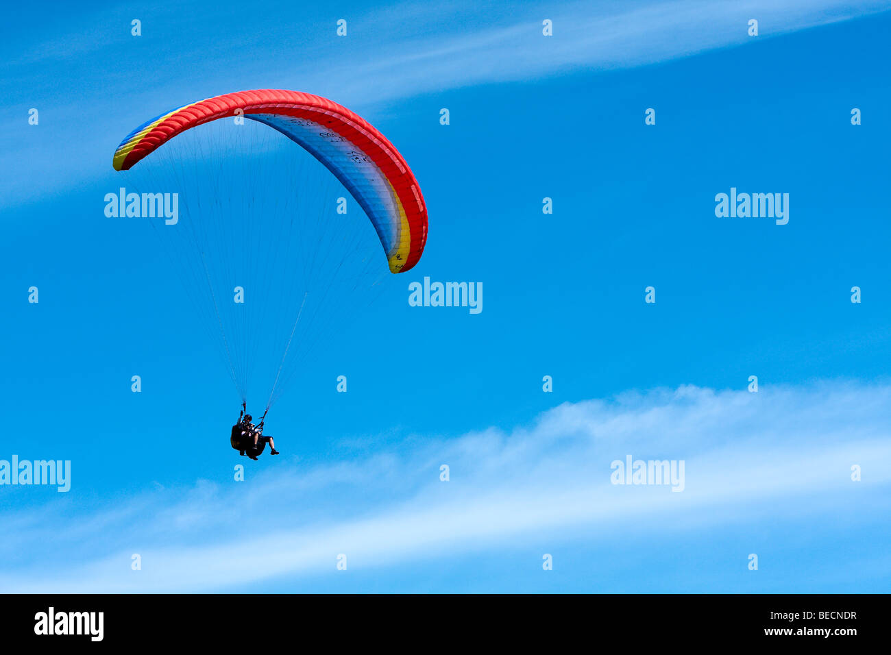 Two paraglider tandem fly against blue sky. Tandem paragliding flight ...