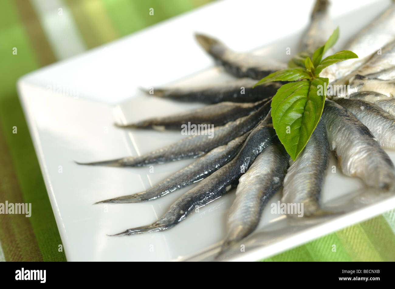 Salad made of marinated sprats Stock Photo - Alamy