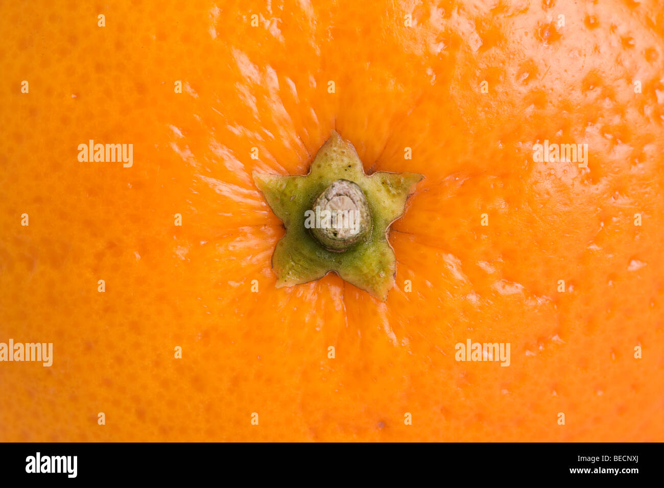 Orange peel skin hi-res stock photography and images - Alamy