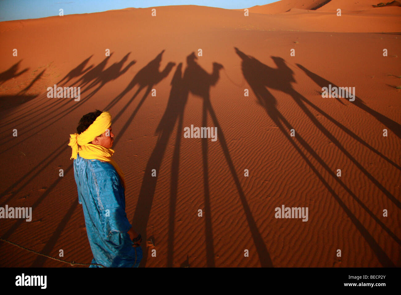 Blue man of the Desert, or Tuareg guides camels carrying tourists ...