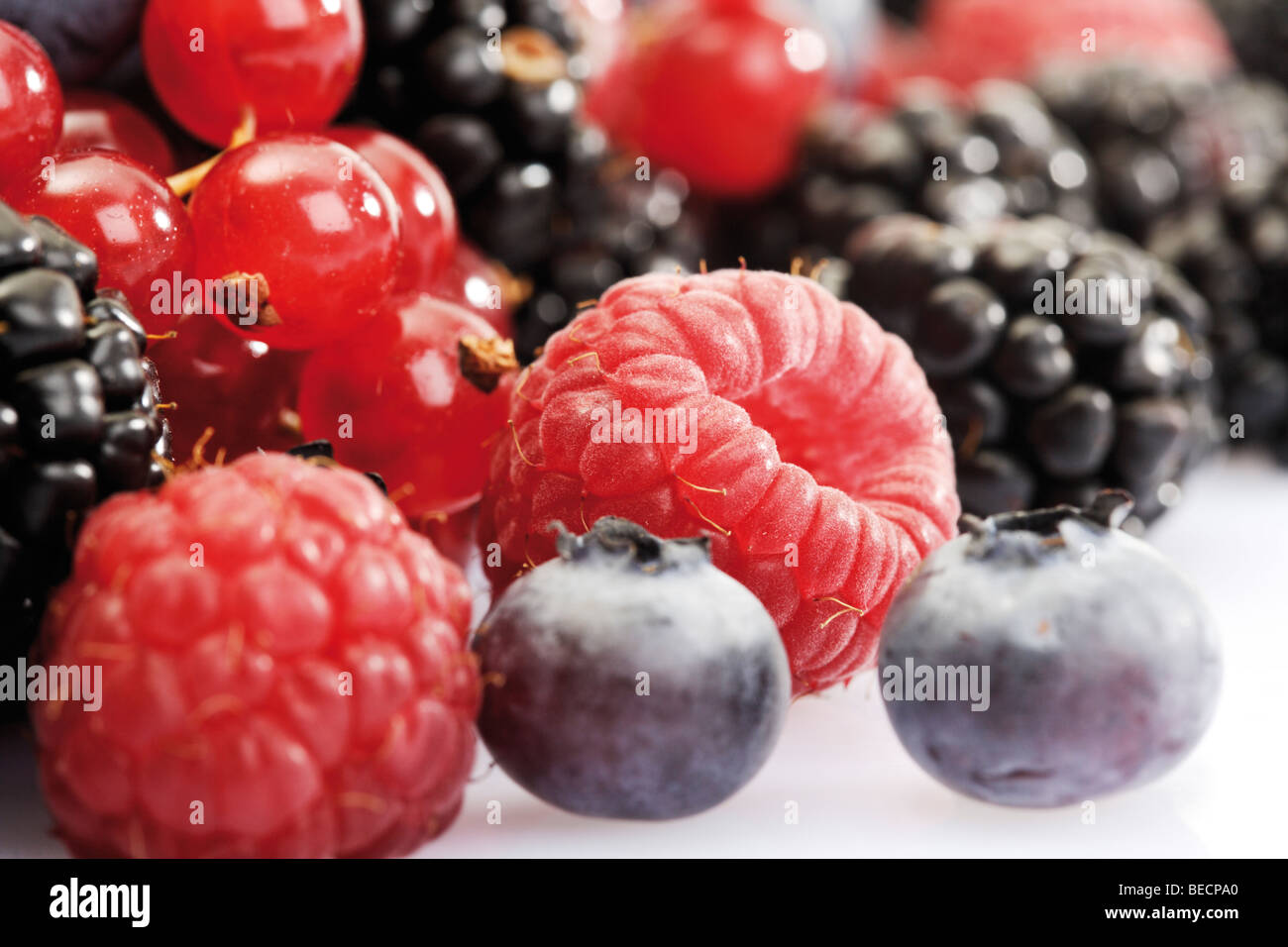 Fruits of the Forest berries Stock Photo - Alamy