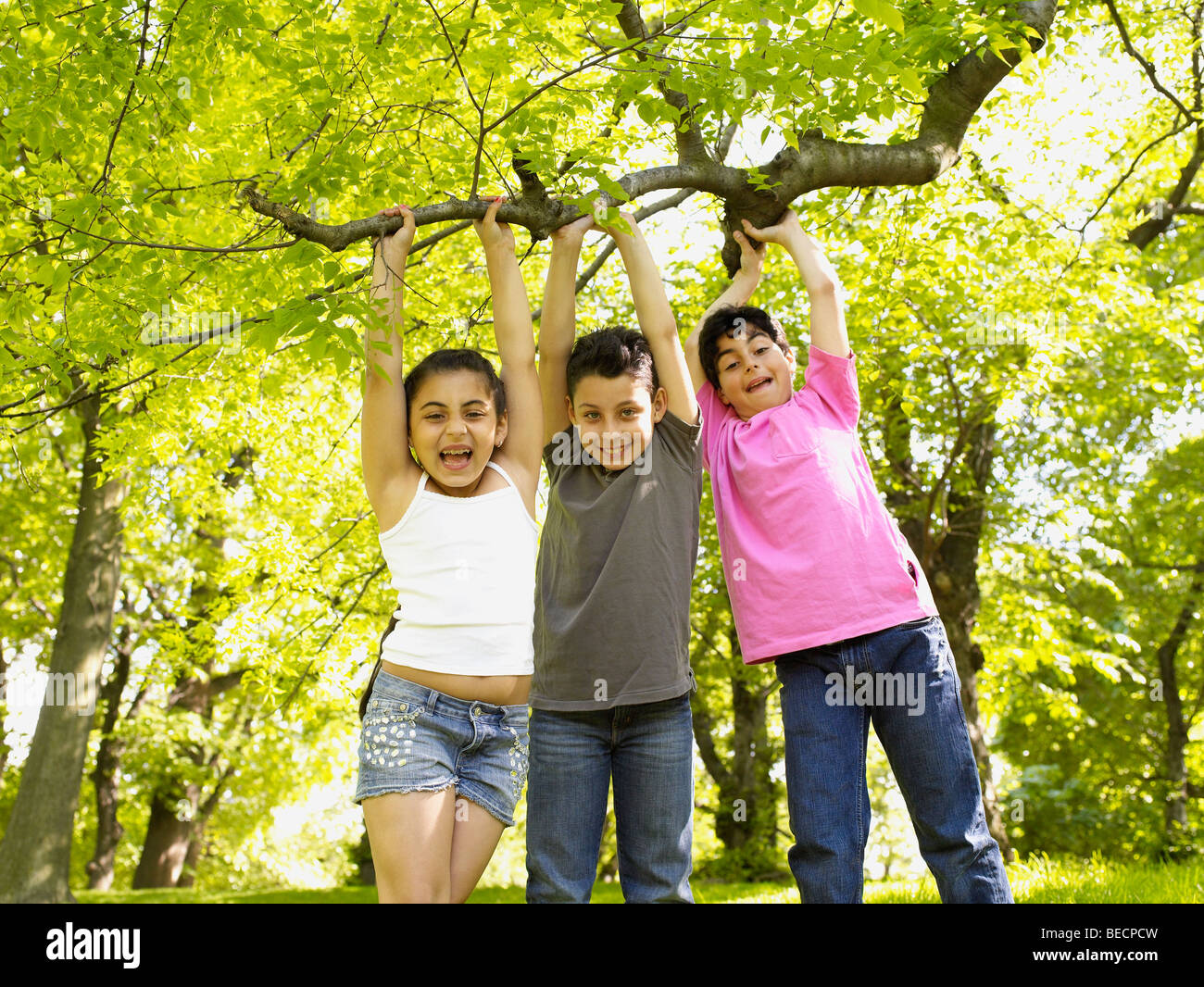 Boy hanging from a tree hi-res stock photography and images - Alamy
