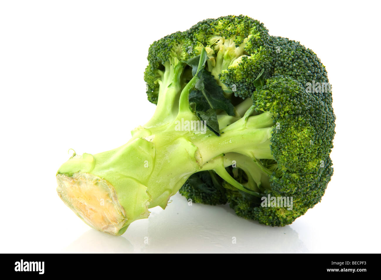 Piece of broccoli hi-res stock photography and images - Alamy