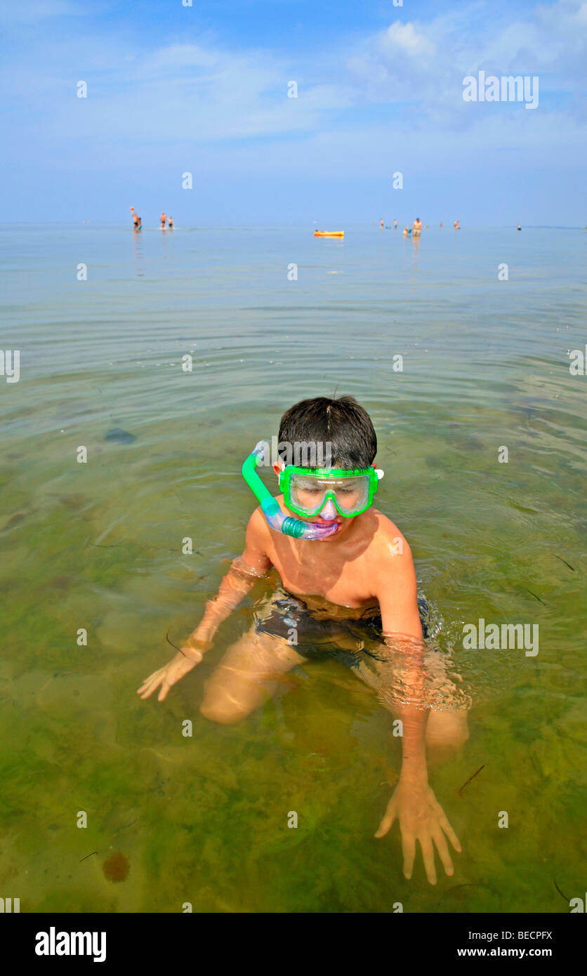 Baltic sea diving hi-res stock photography and images - Alamy
