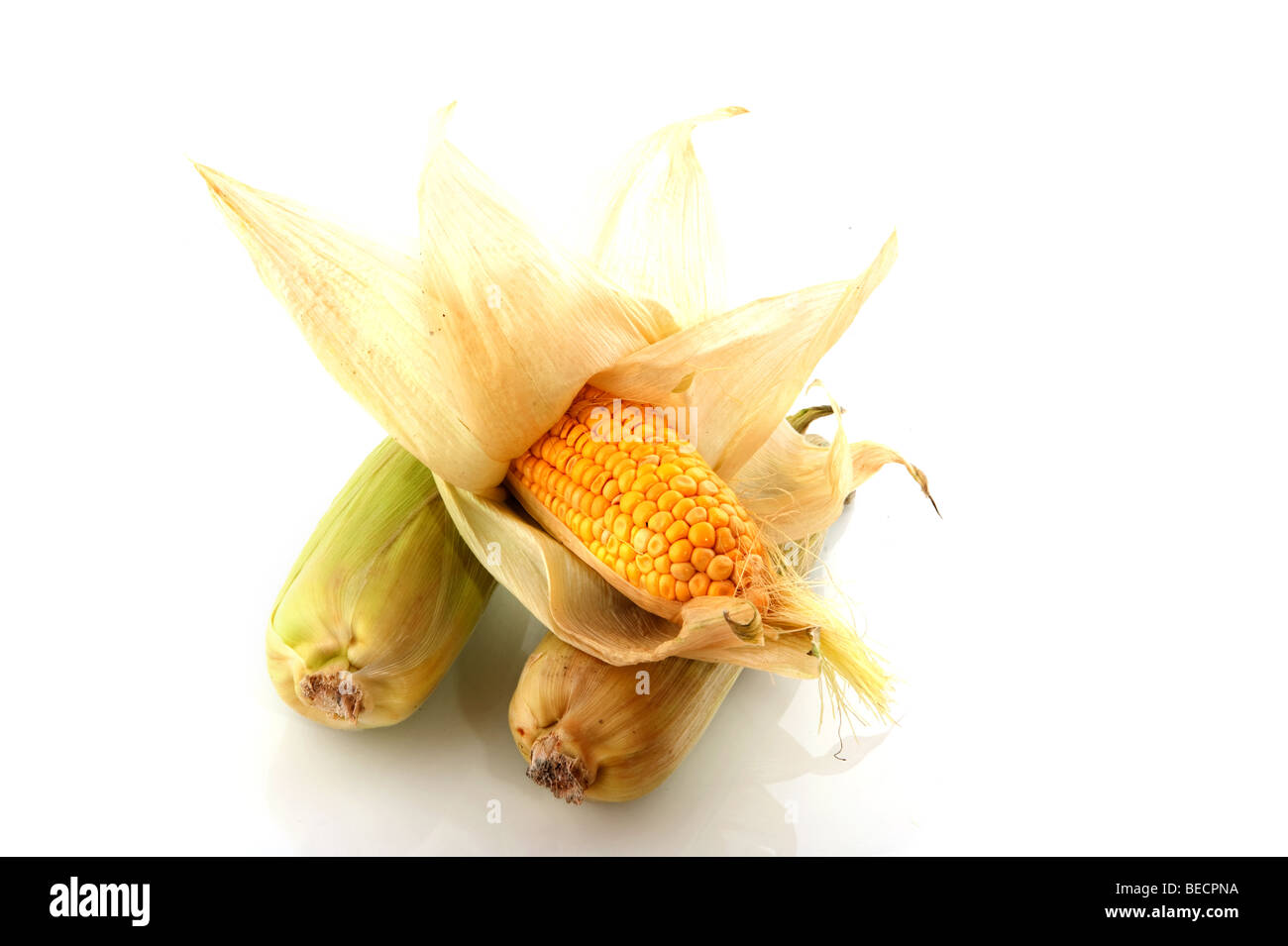 several raw maize isolated over white background Stock Photo - Alamy