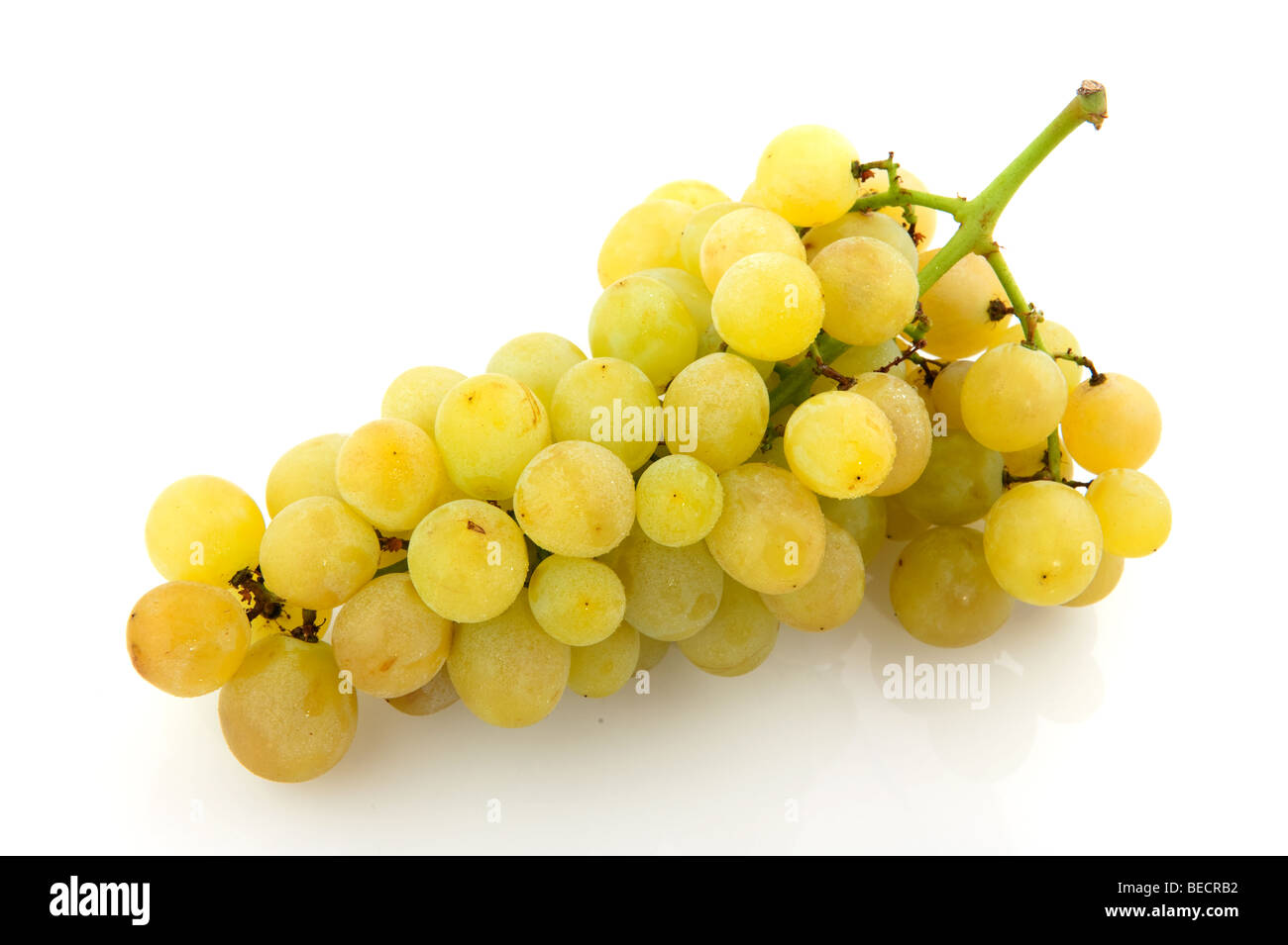 fruit white grapes in a bunch isolated Stock Photo - Alamy