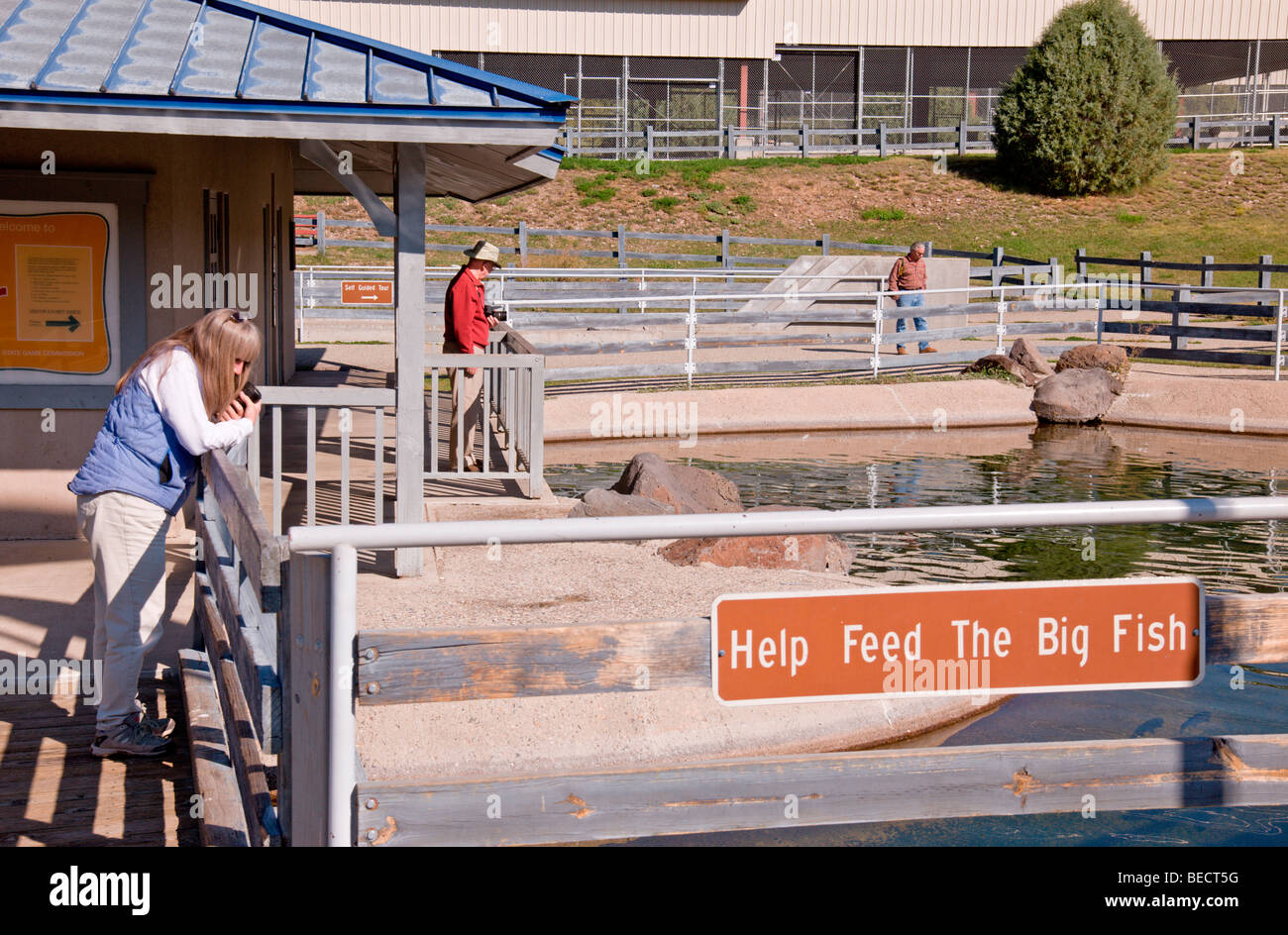 Trout hatchery hi-res stock photography and images - Alamy