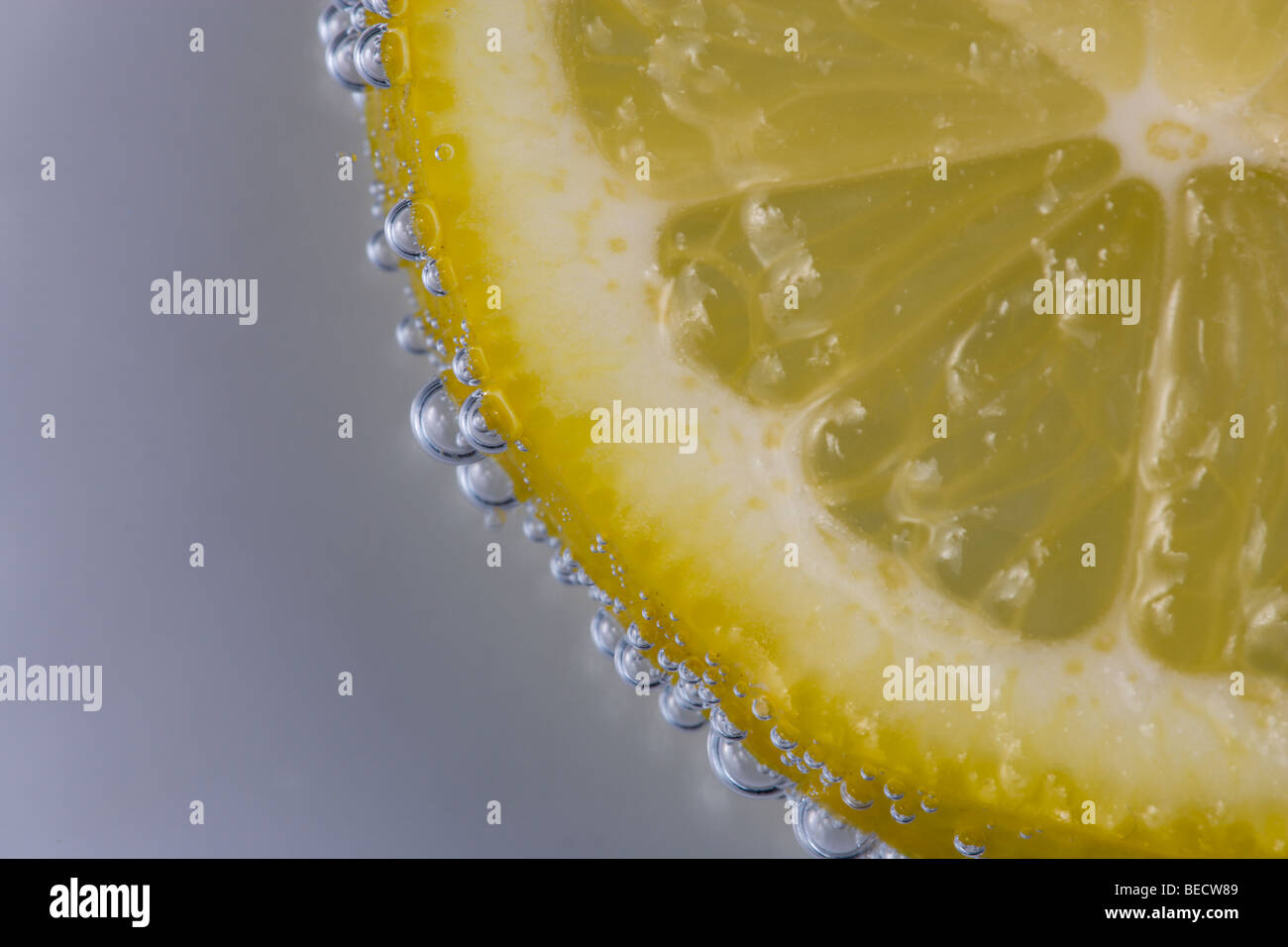 Close-up image of a section of lemon slice surrounded by bubbles of ...