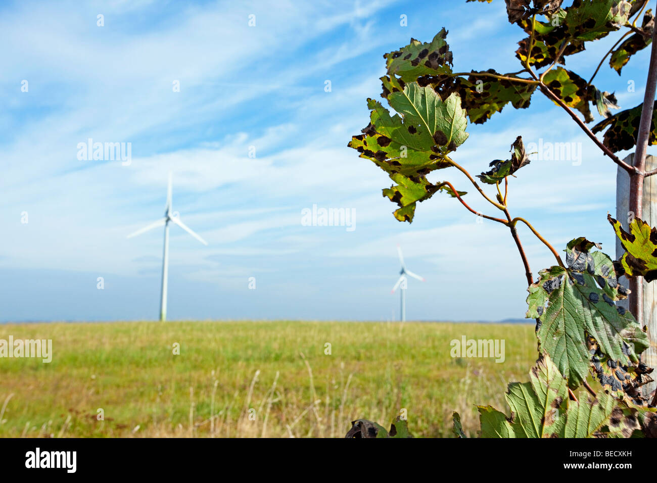 Wind Turbines in line in the field Stock Photo - Alamy