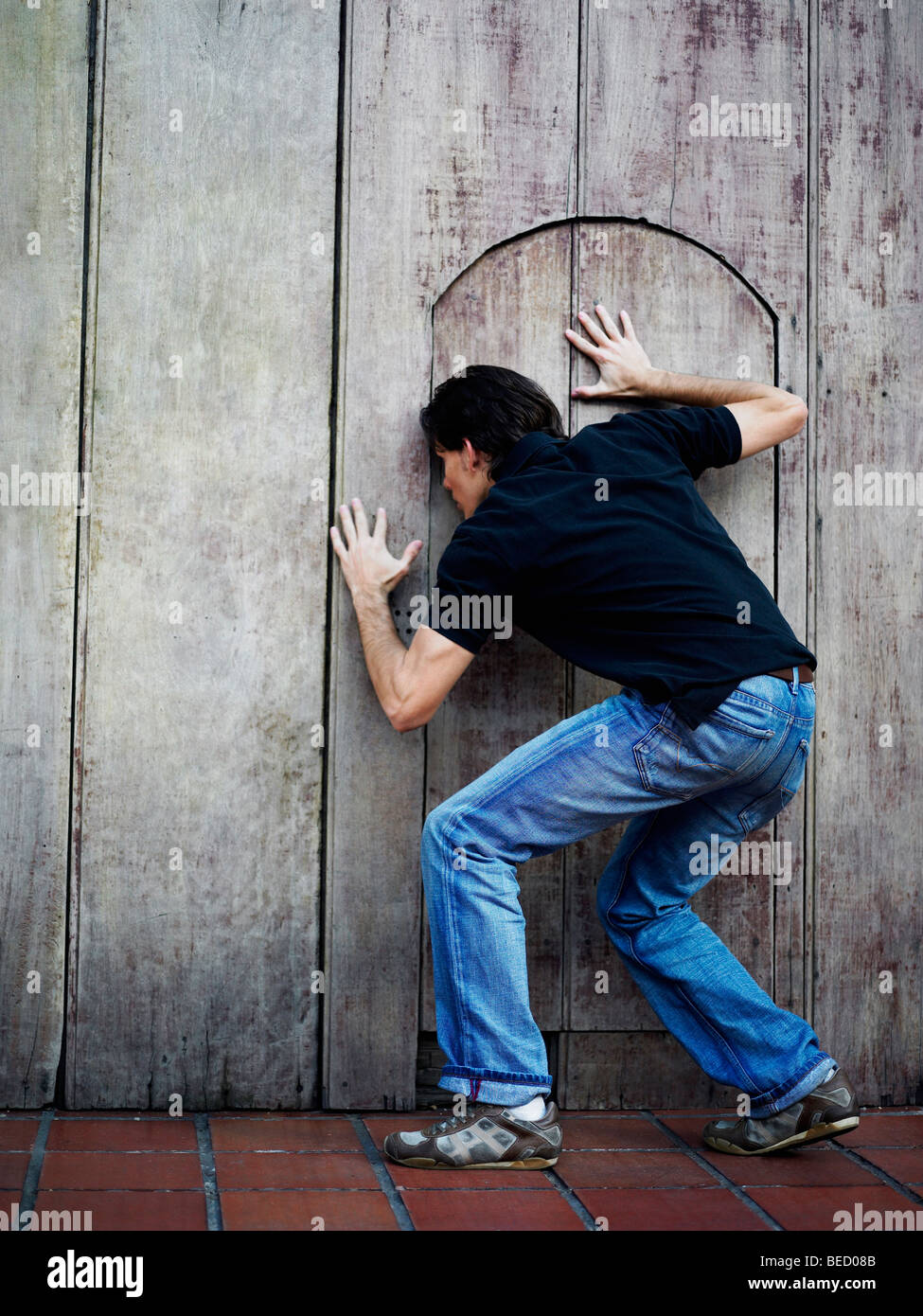 Peeking through the gate hi-res stock photography and images - Alamy