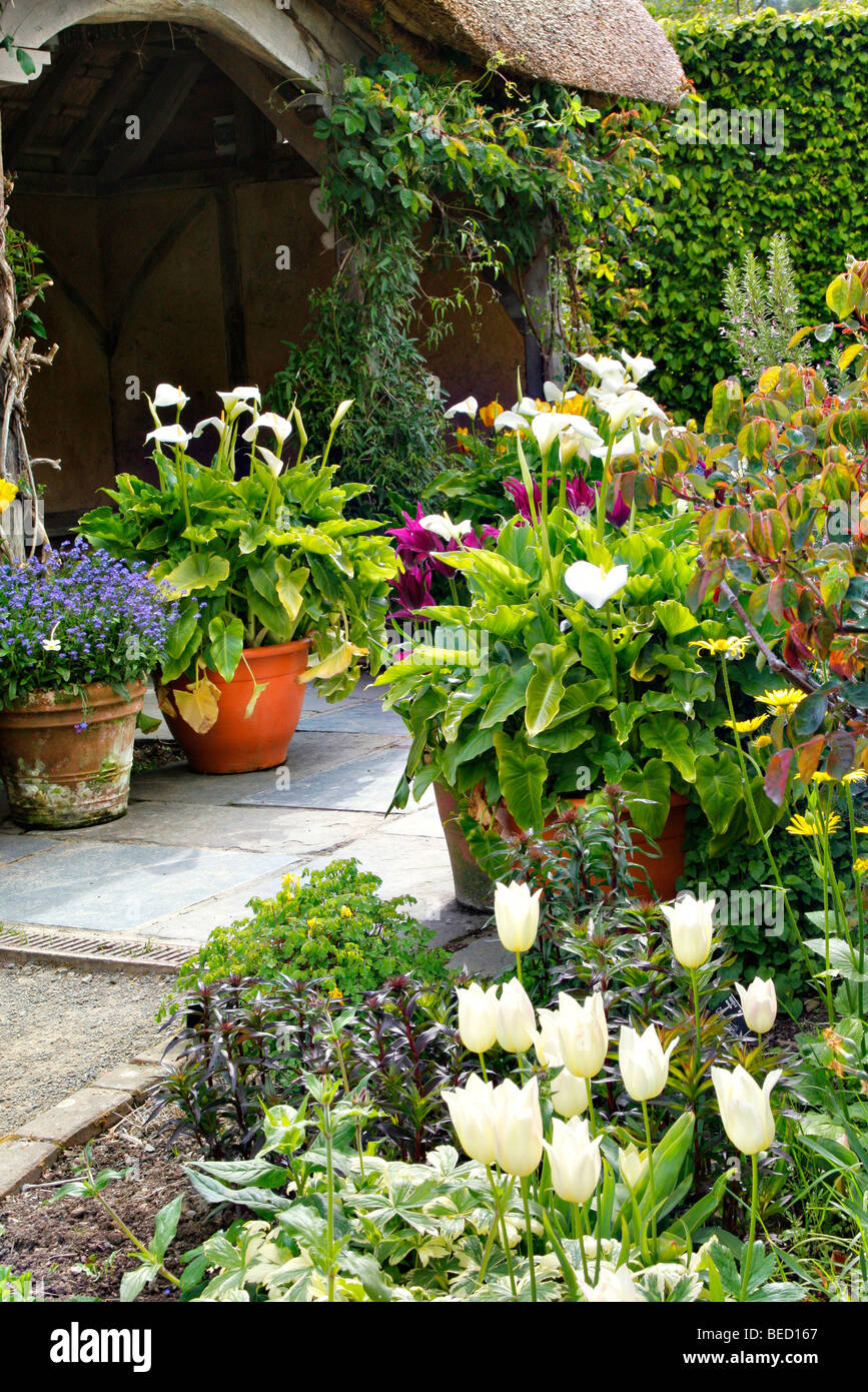 Pots planters hi-res stock photography and images - Alamy