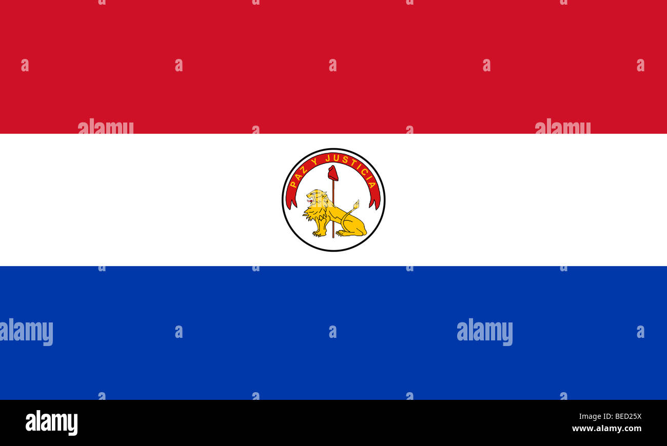 Paraguay flag hi-res stock photography and images - Alamy