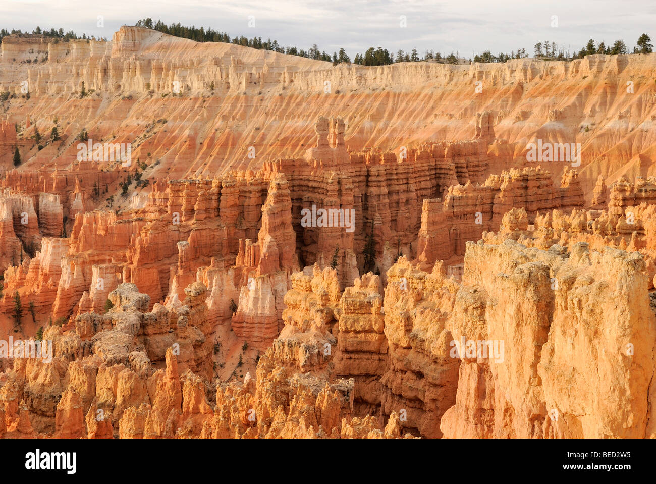 Limestone formations in Bryce Canyon, Bryce Canyon National Park, Utah ...
