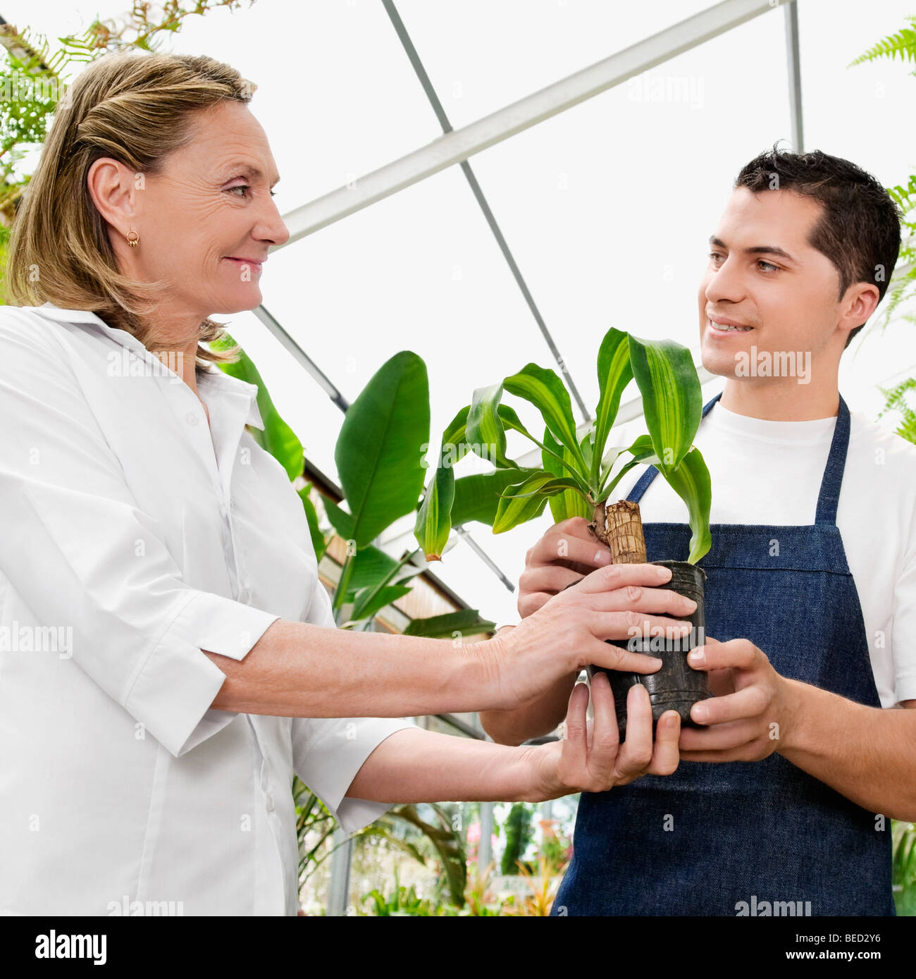 Face planter hi-res stock photography and images - Alamy