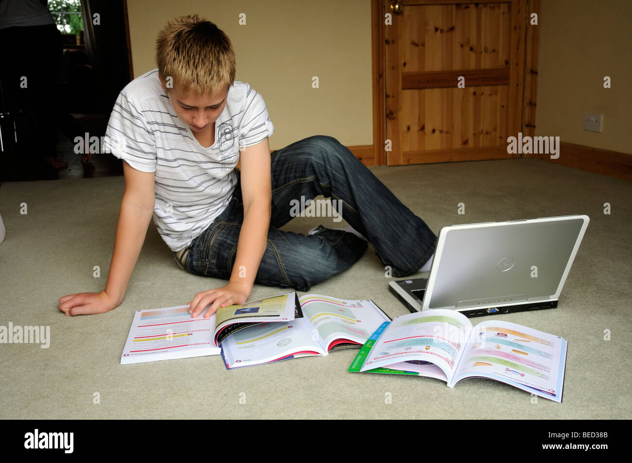 Teenager boy revising for GCSE exams student studying at home Stock ...
