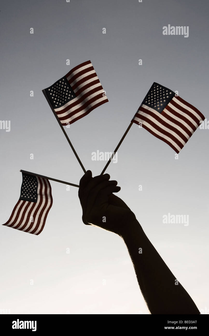 Person's hand holding American flags Stock Photo - Alamy