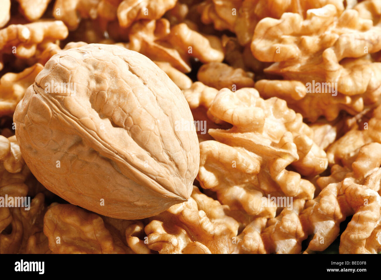 Nuss arten hi-res stock photography and images - Alamy